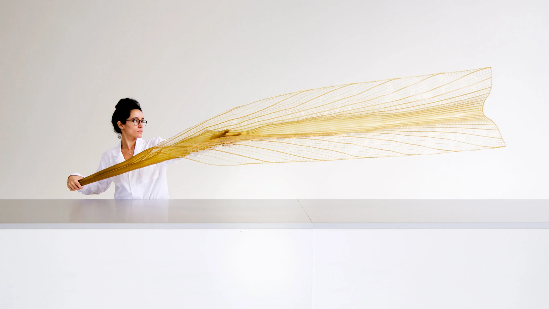 Decay by design: These 3D-printed organic plastics naturally decompose ...