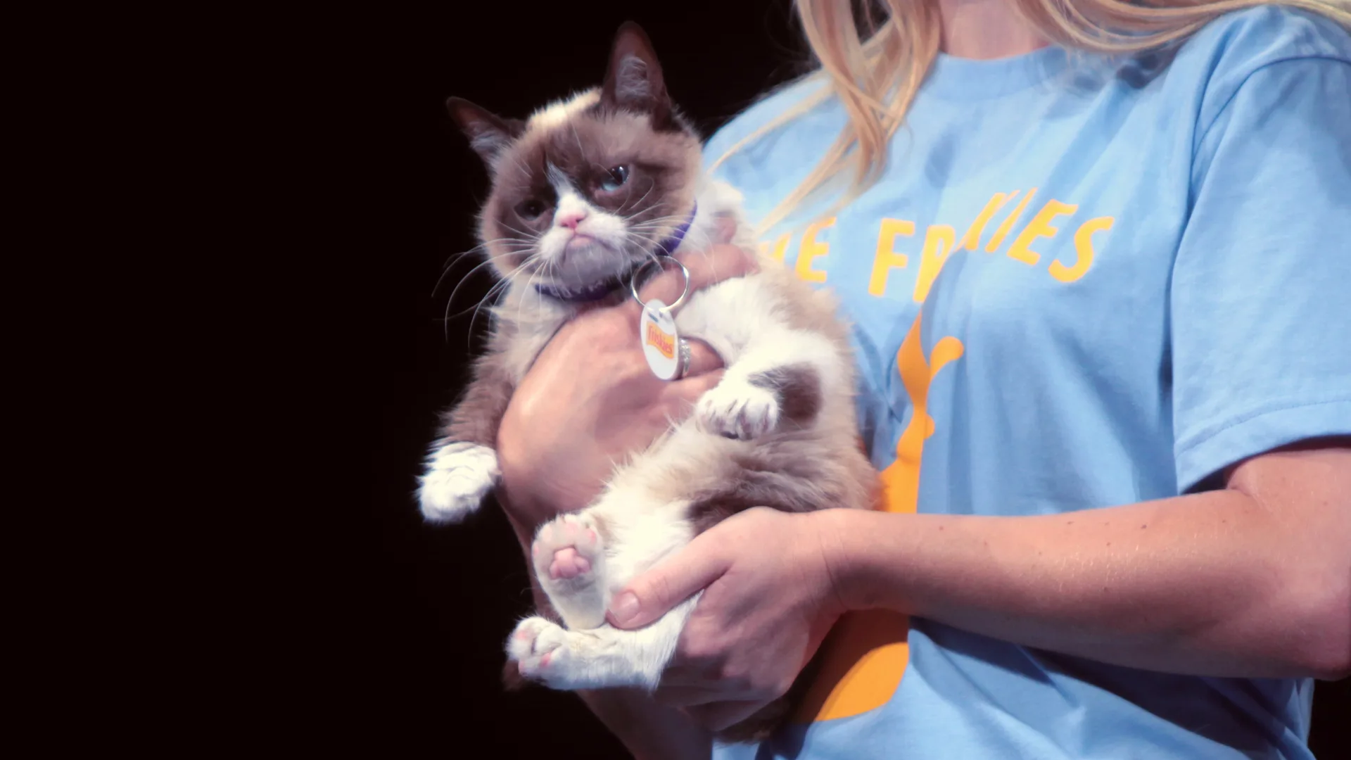 Now this is something to be grumpy about: Meme superstar Grumpy Cat has ...