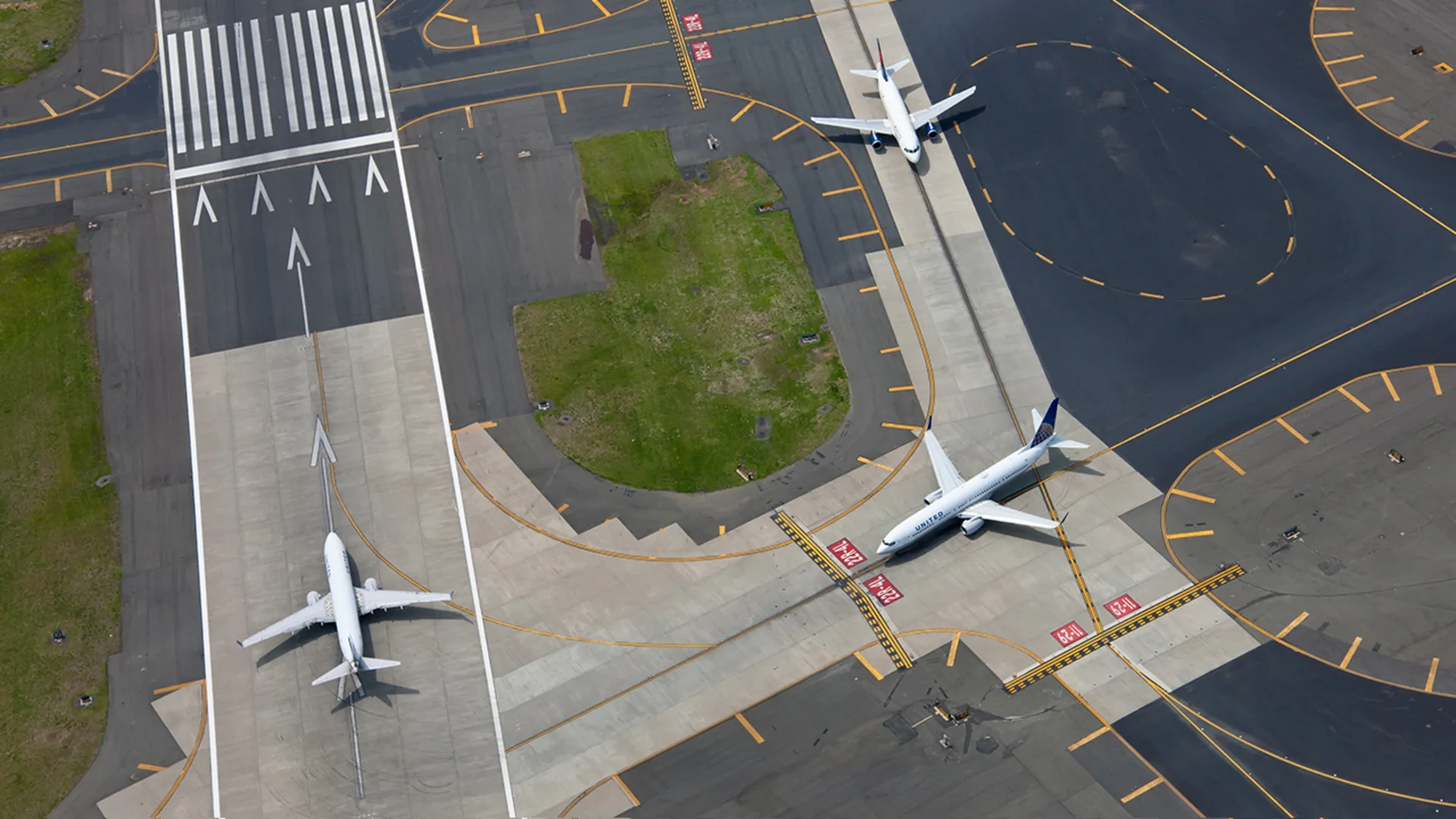 The fascinating thing our airports reveal about the natural world ...