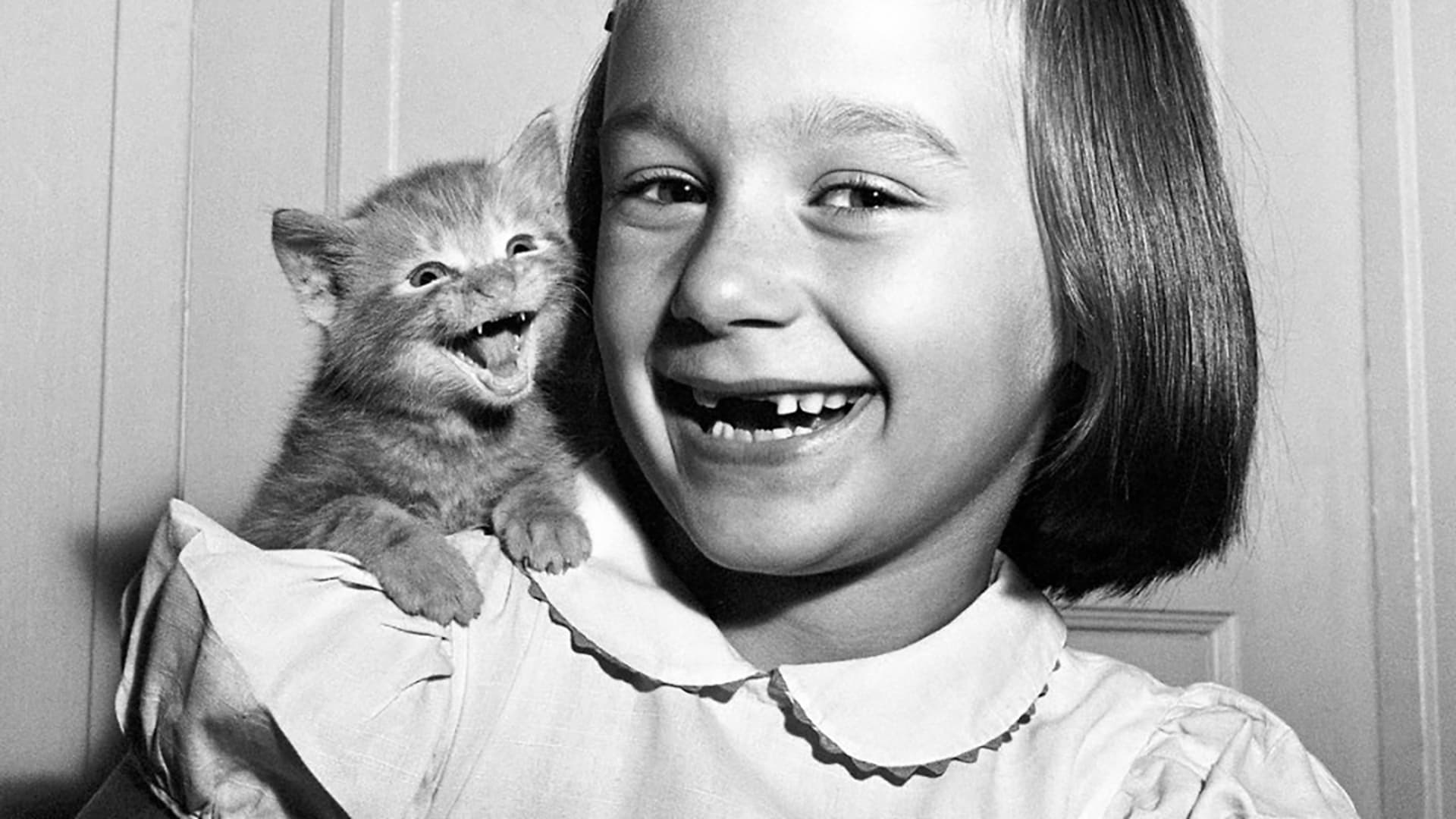 This majestic new book collects seven decades of cat photography - Fast ...