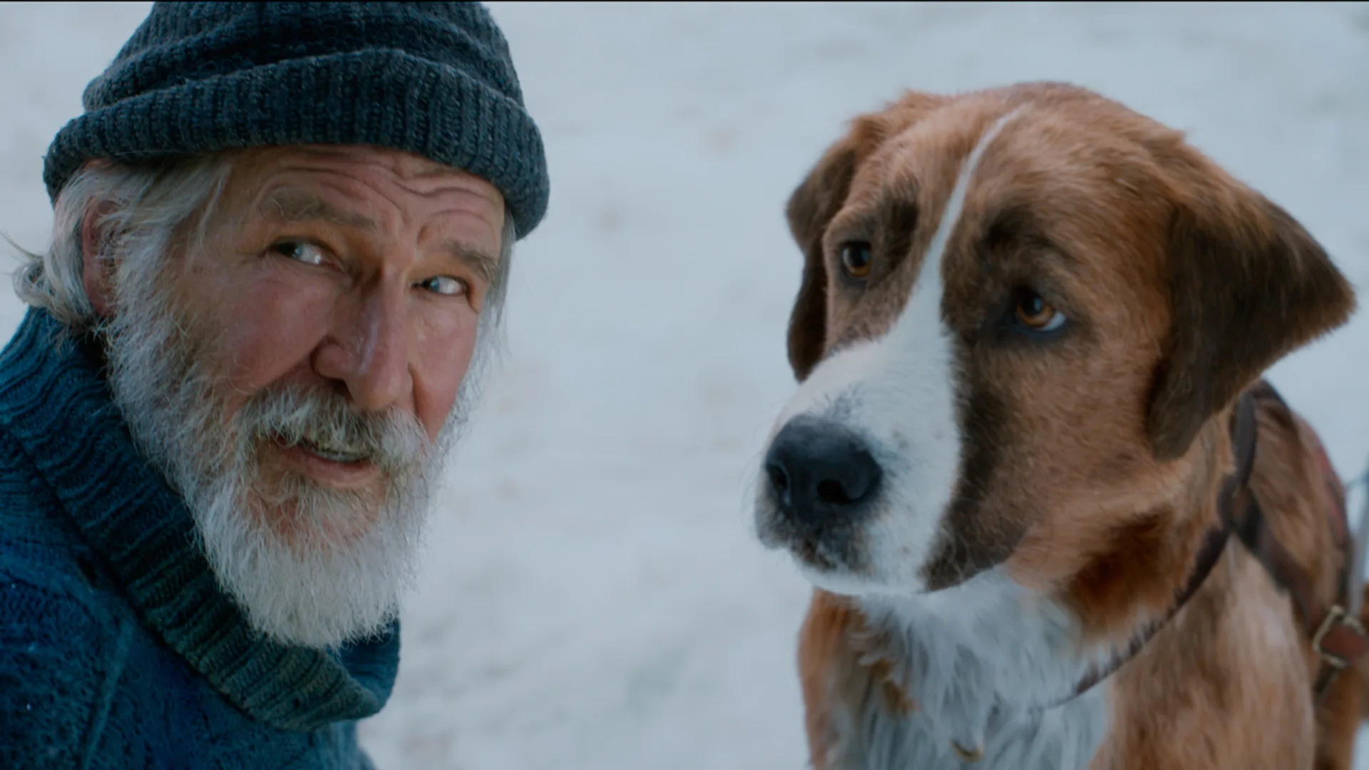 Guess who actually likes the CGI dog in 'The Call of the Wild'? - Fast ...