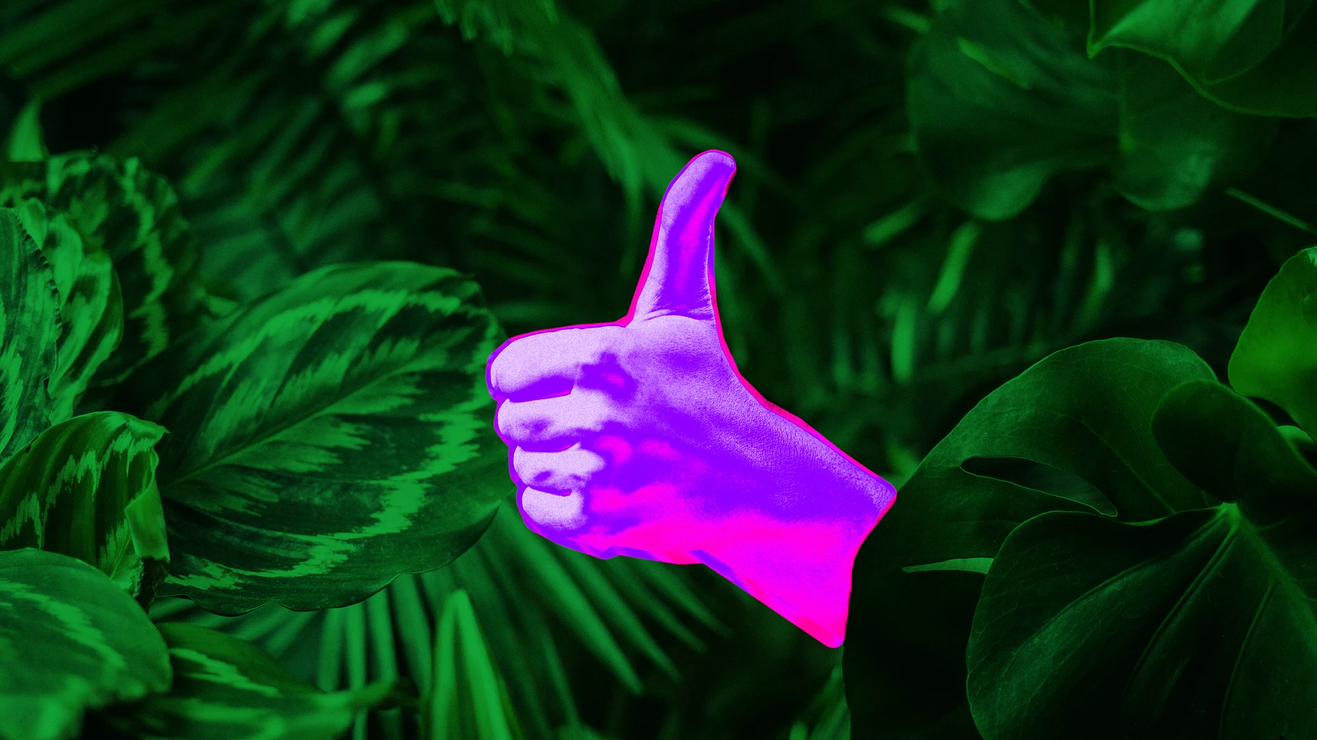 If you really want the job, show you have these 6 qualities - Fast Company