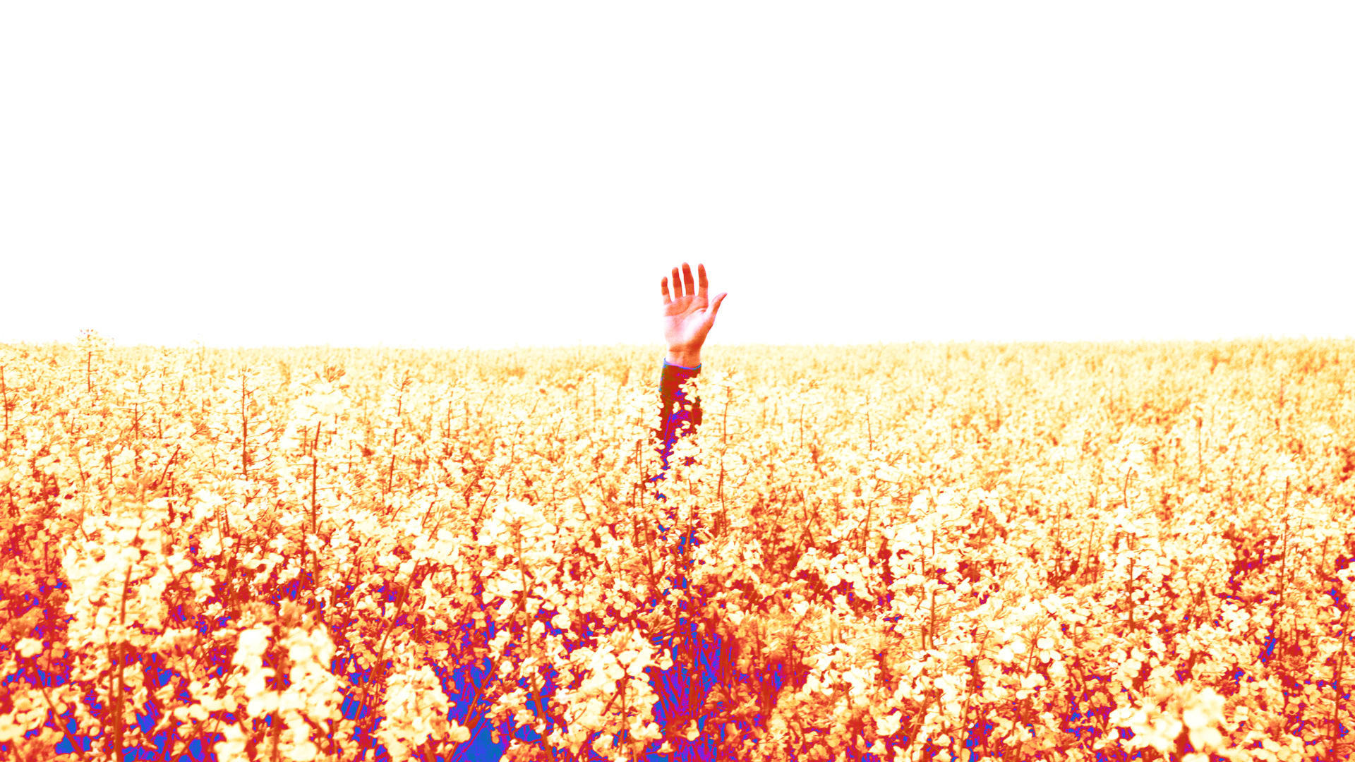 How to remain visible to your boss when you work remotely - Fast Company