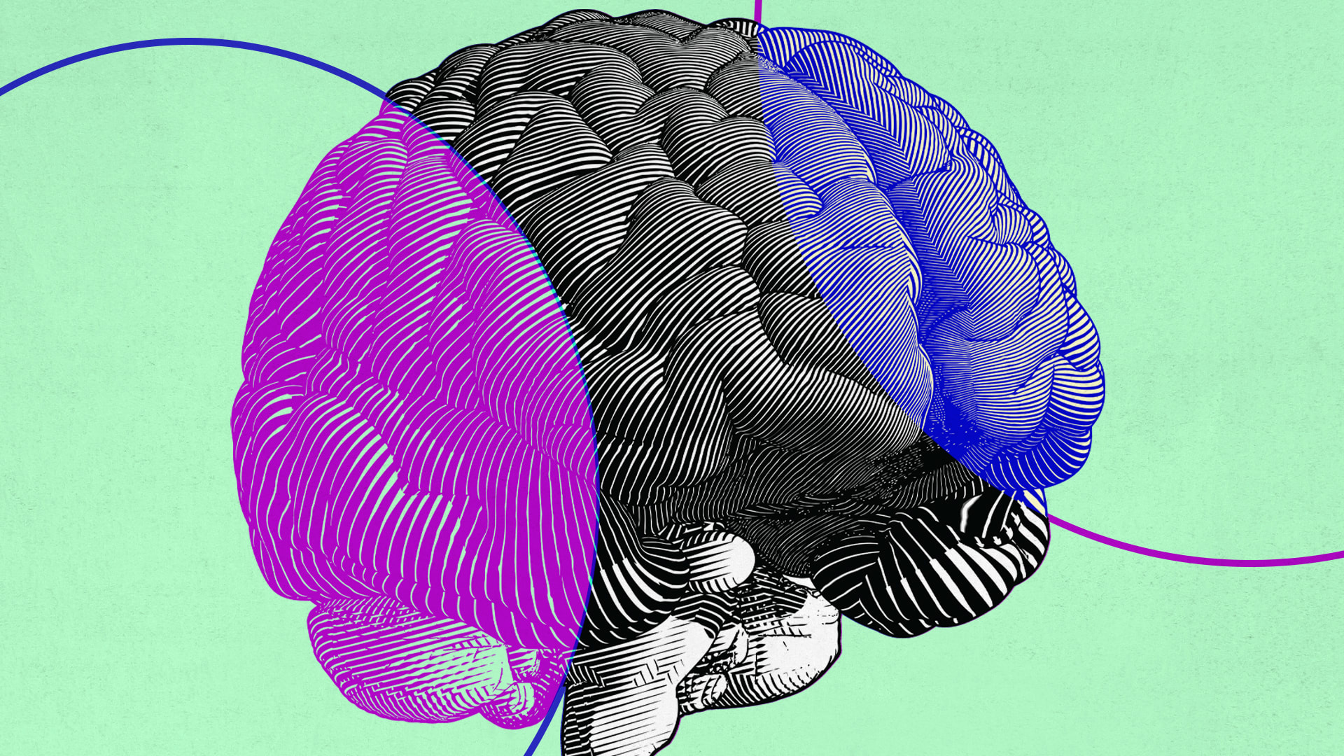 Surprise Male And Female Brains Are The Same Fast Company