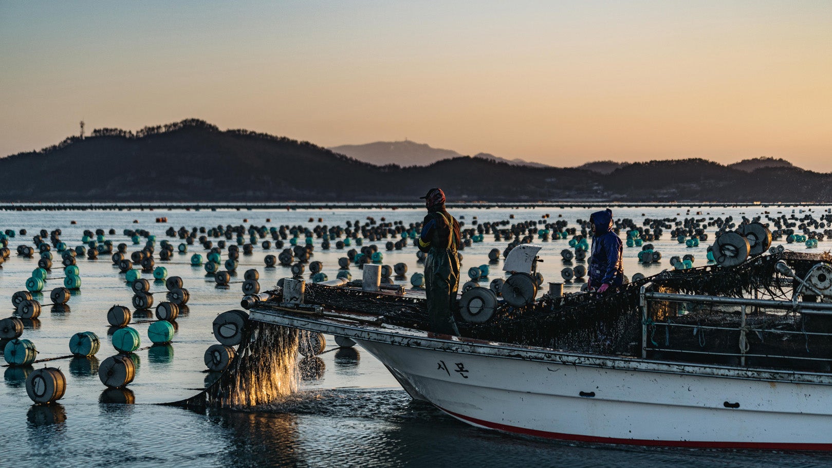 See inside a seaweed farm as it grow its carbon-sequestering crops ...