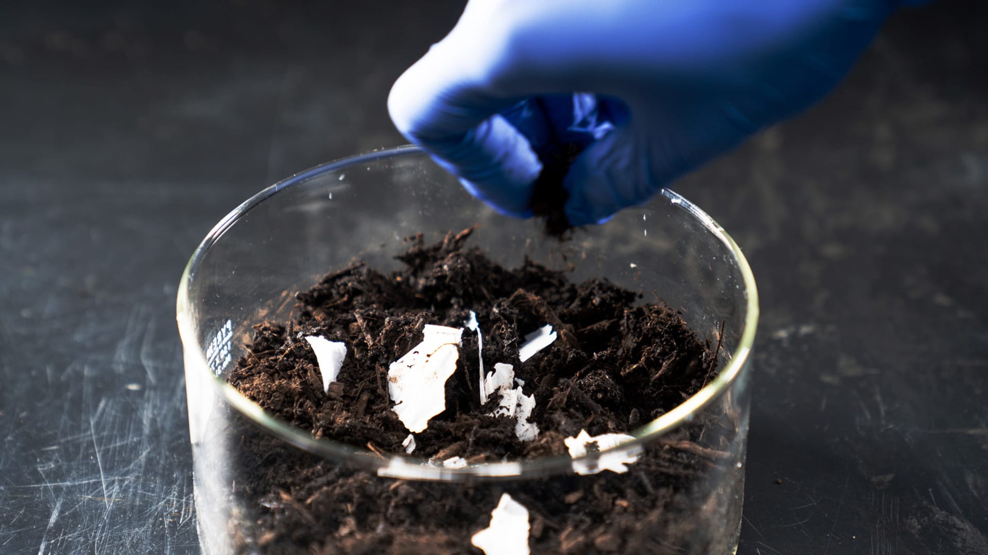 This compostable plastic is actually compostable - Fast Company