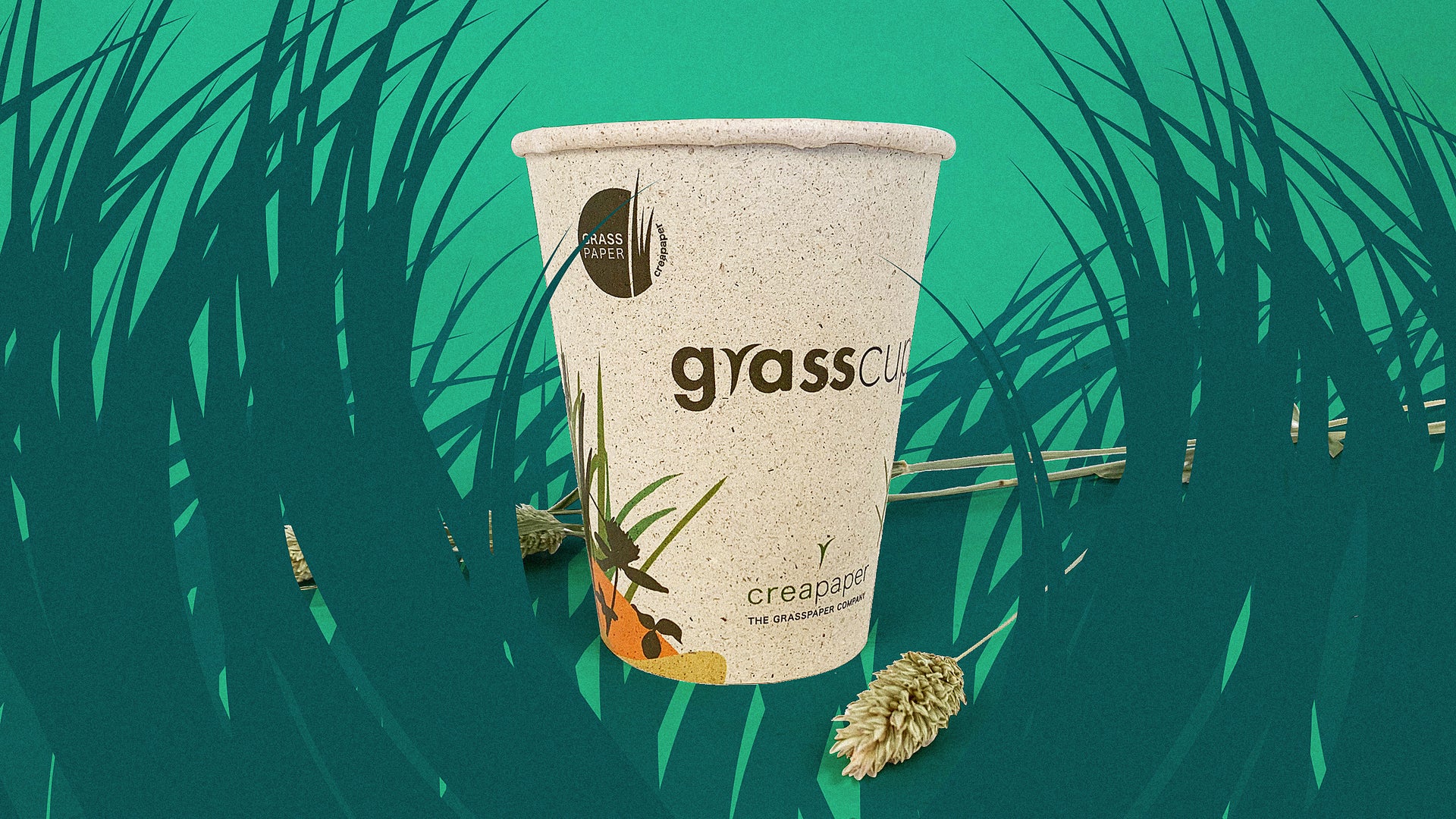 To use fewer trees and less water, this paper is made from grass - Fast ...