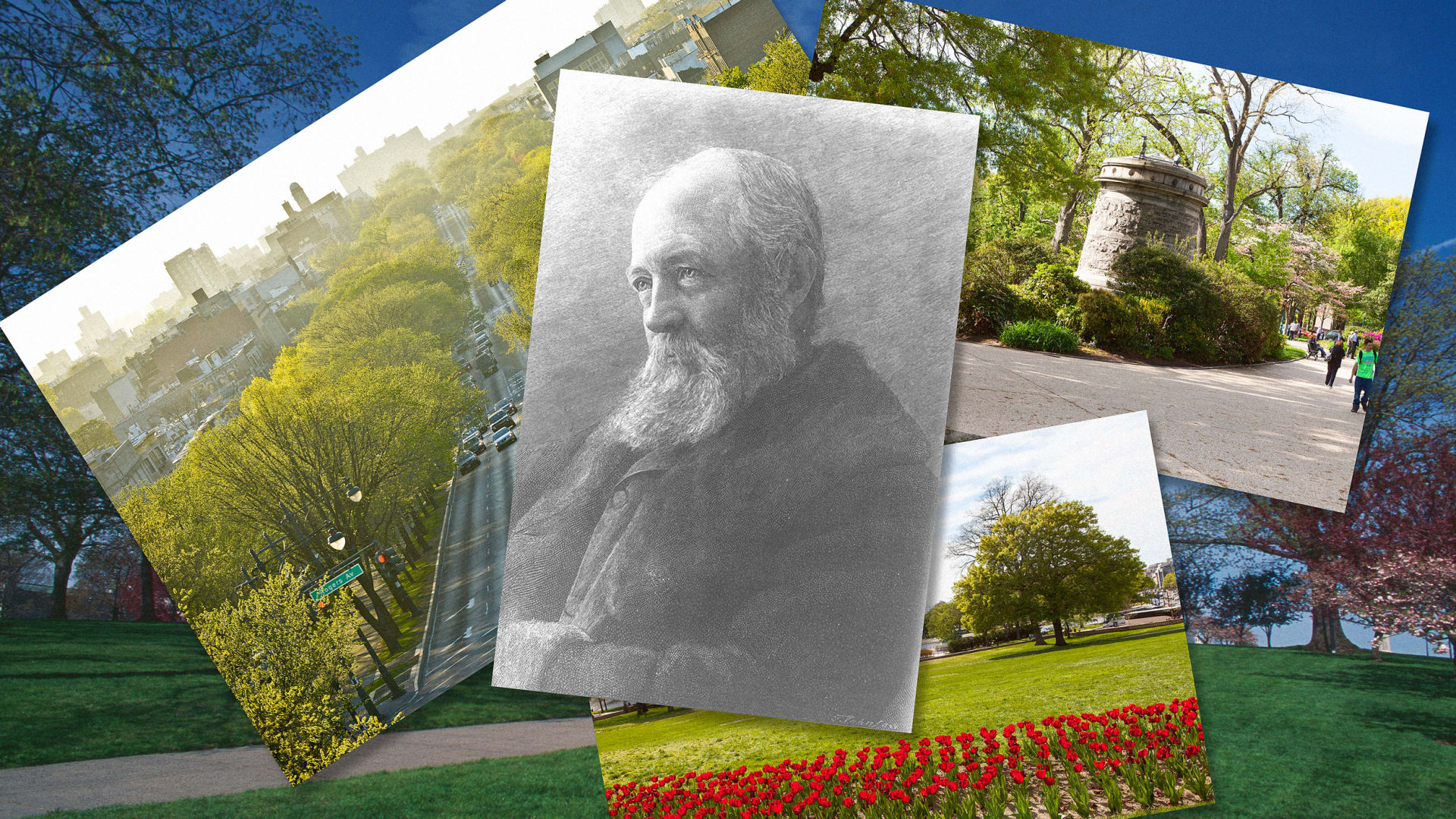 Uncovering the hidden gems of Frederick Law Olmsted, the father of ...