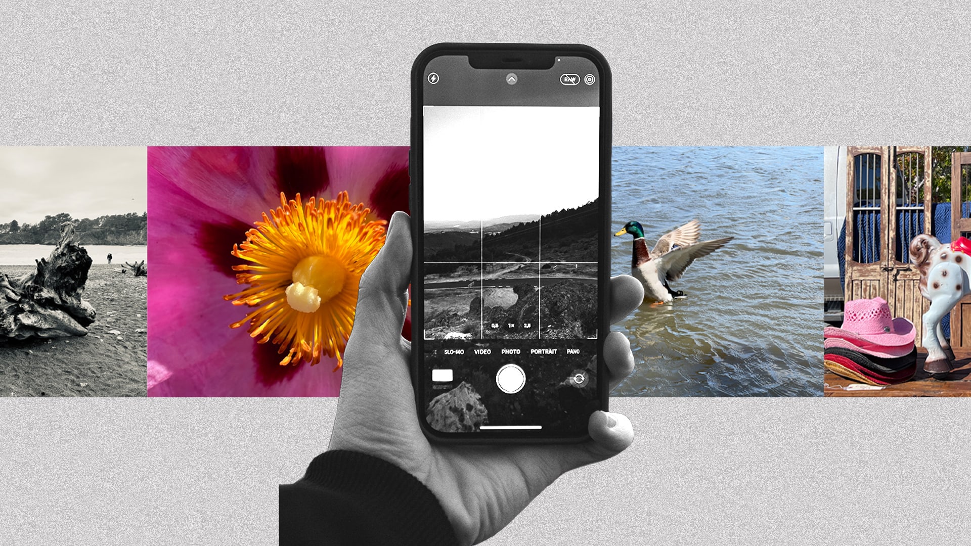 6 things I learned by going all in on iPhone photography - Fast Company