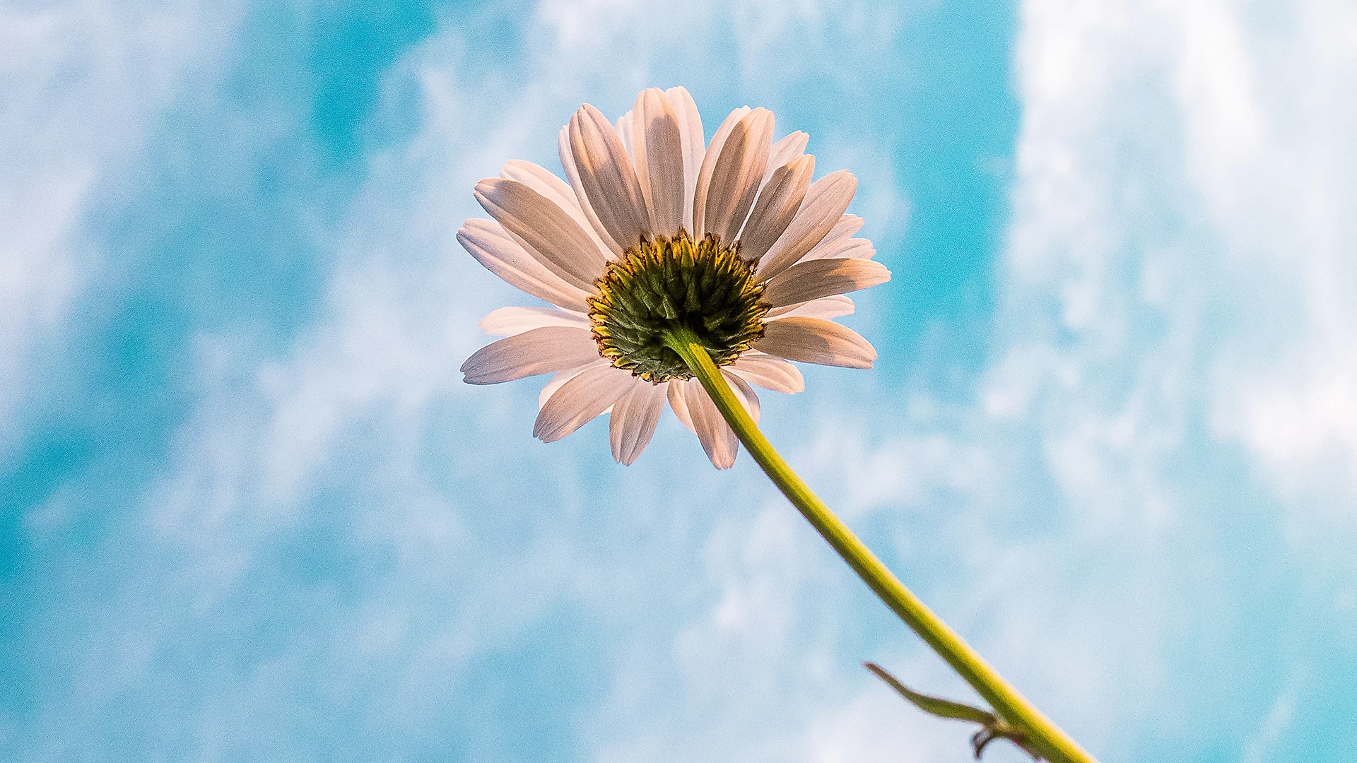 If you're not optimistic about the future, try these 4 strategies to ...