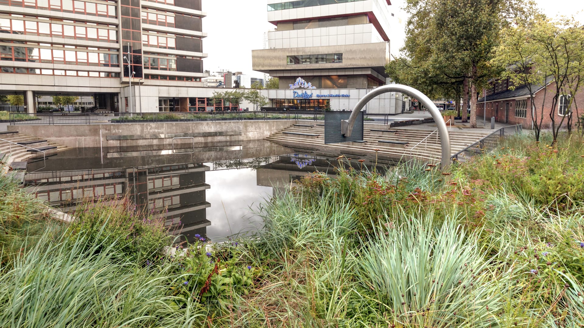 From water squares to tidal parks: Meet the Dutch architects ...
