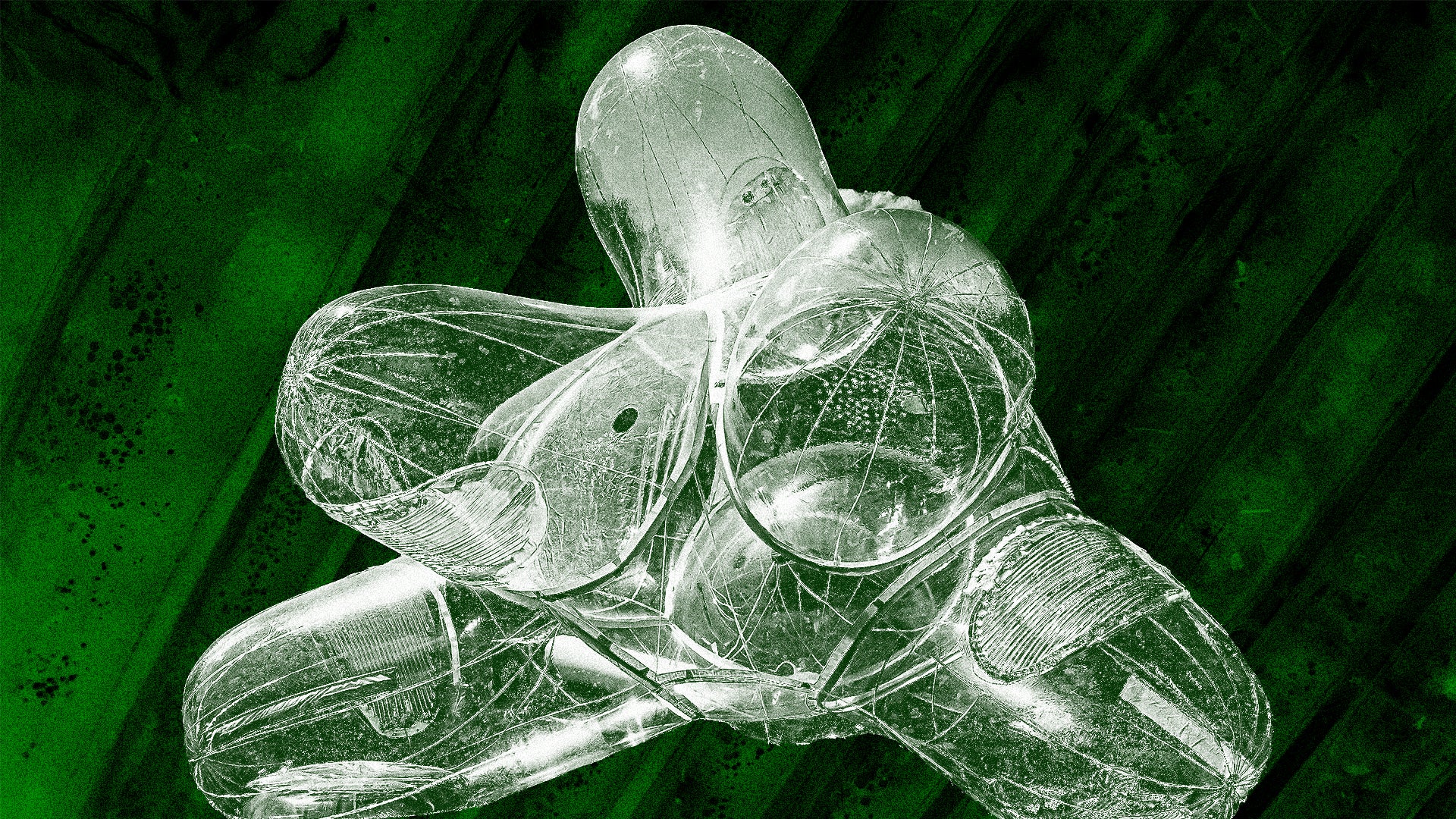 algae - Fast Company
