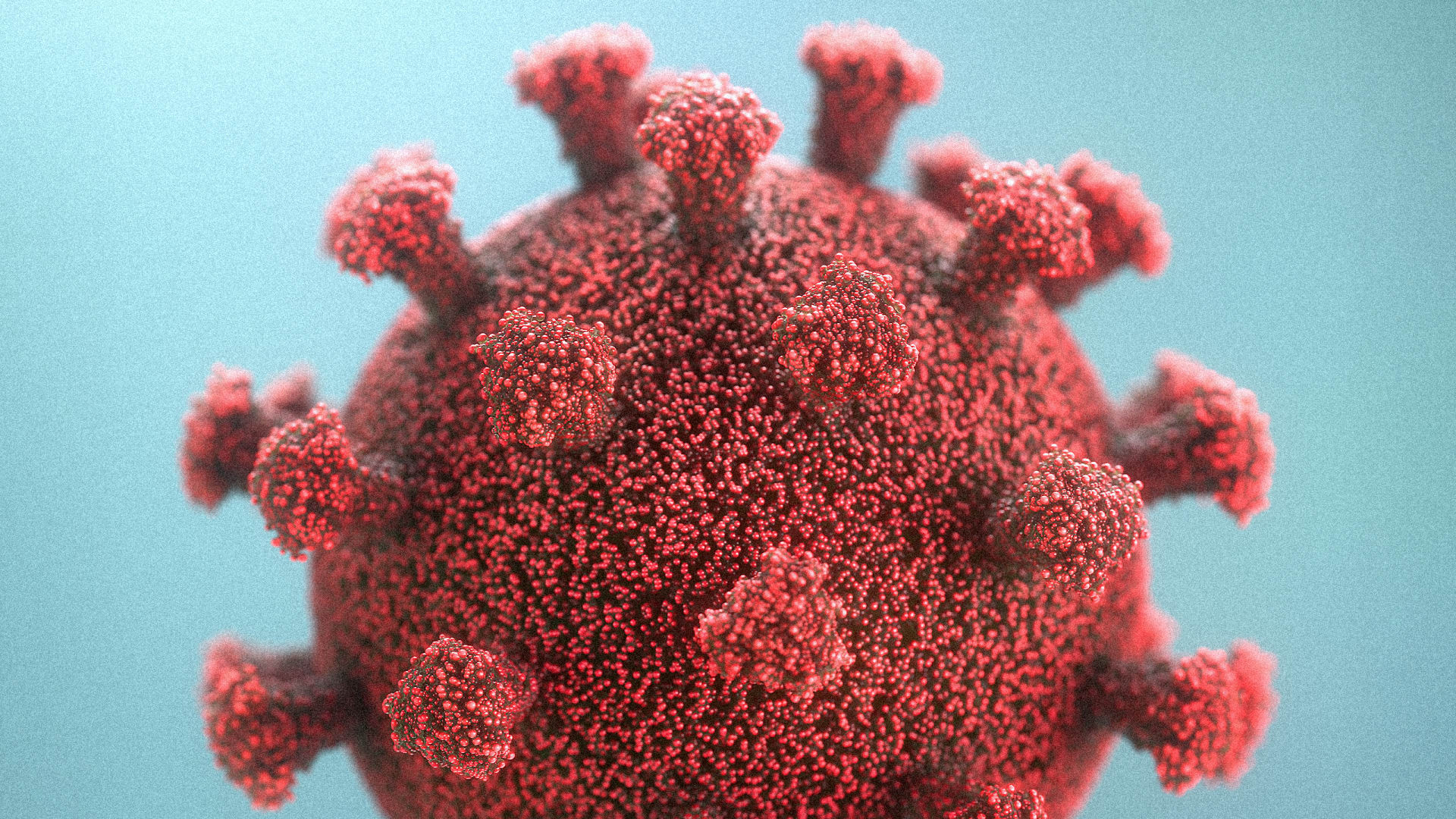 What is RSV? Symptoms list, how to track, CDC updates for respiratory ...