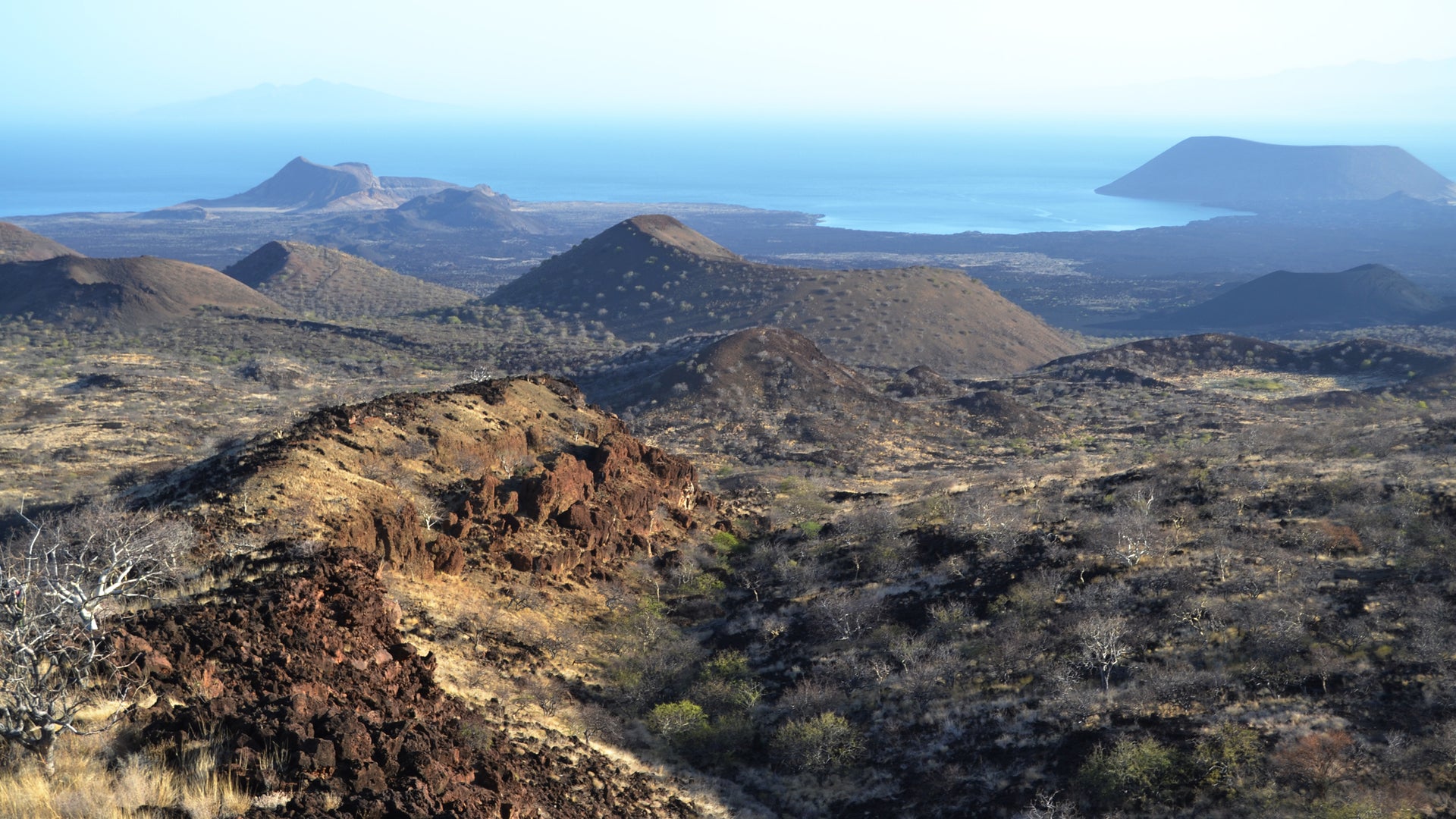 This startup captures CO2 by injecting it straight into volcanic rock ...