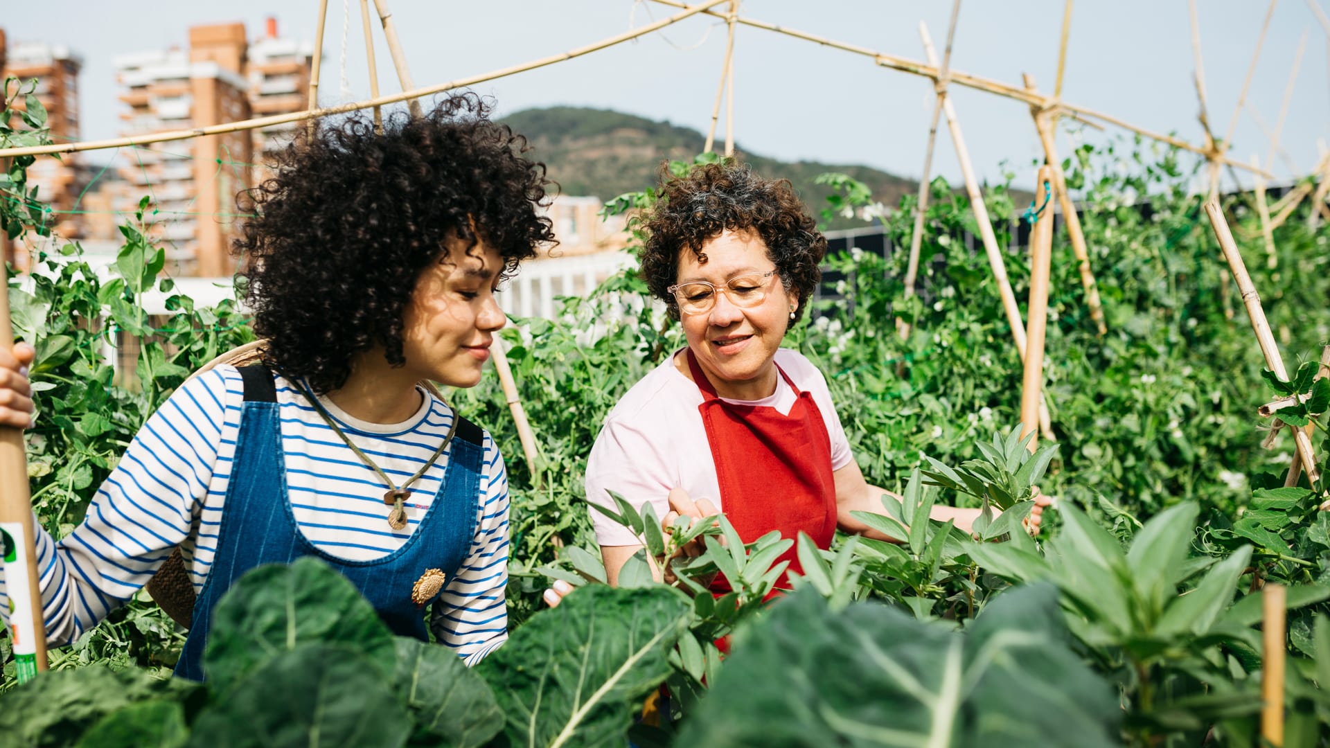 How to navigate working with your family