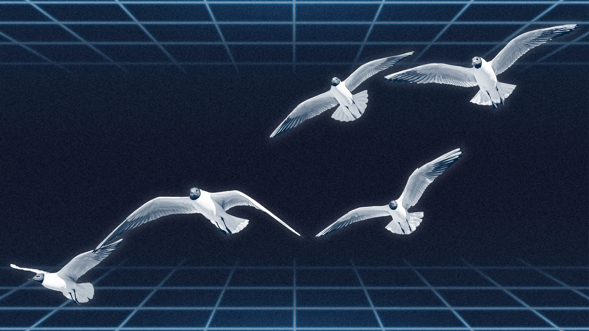 Biomimicry in engineering: Could seagulls improve cloud computing?