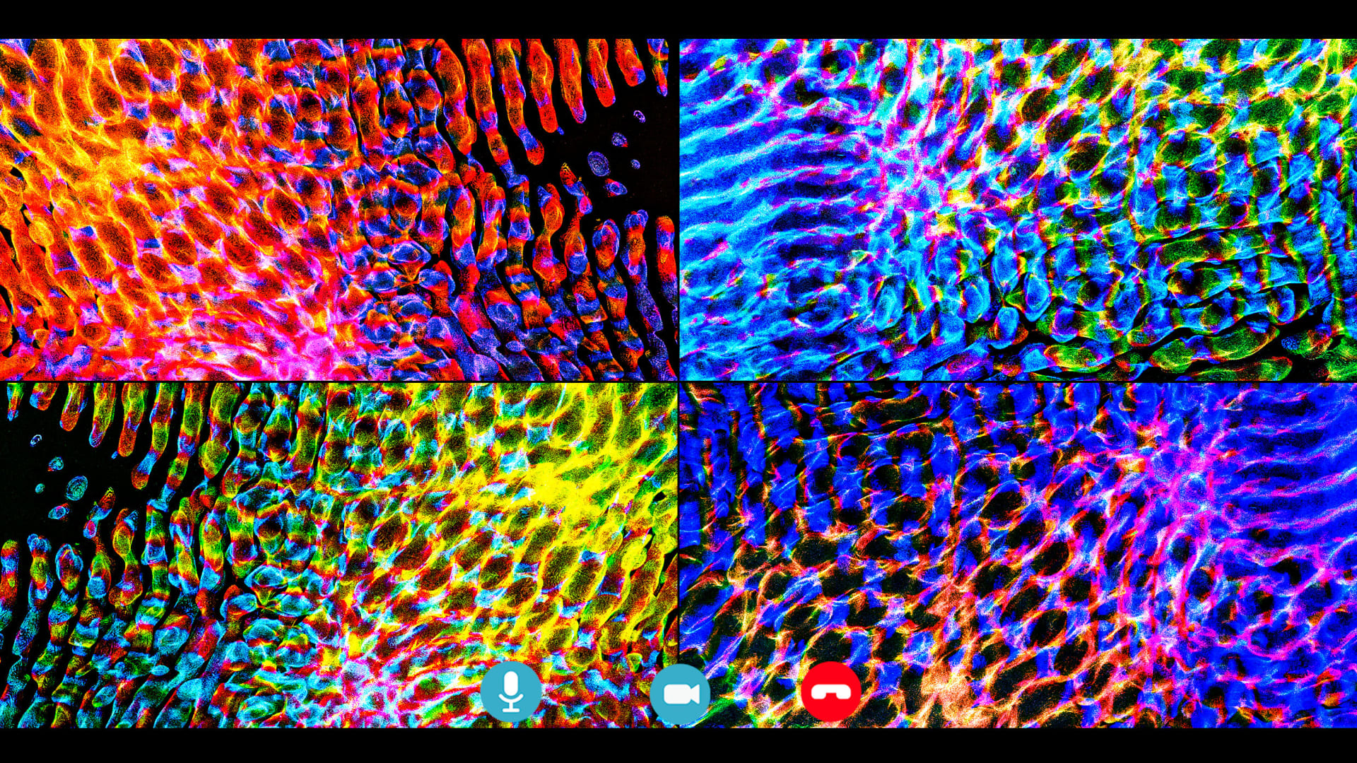 Zoom AI training terms of service face backlash; company clarifies TOS