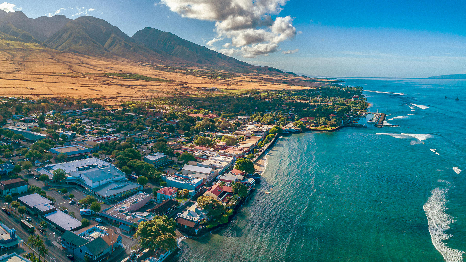 Maui's Lahaina was once filled with wetlands. Can it be rebuilt ...