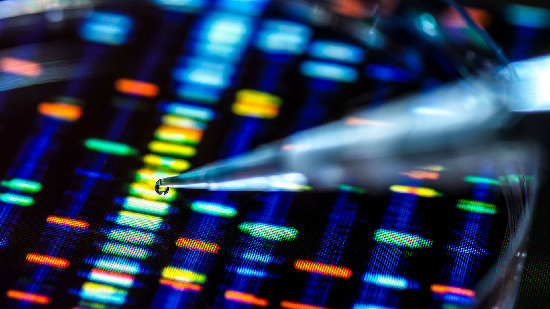 FDA approved the first CRISPR gene-editing drug. What you need to know