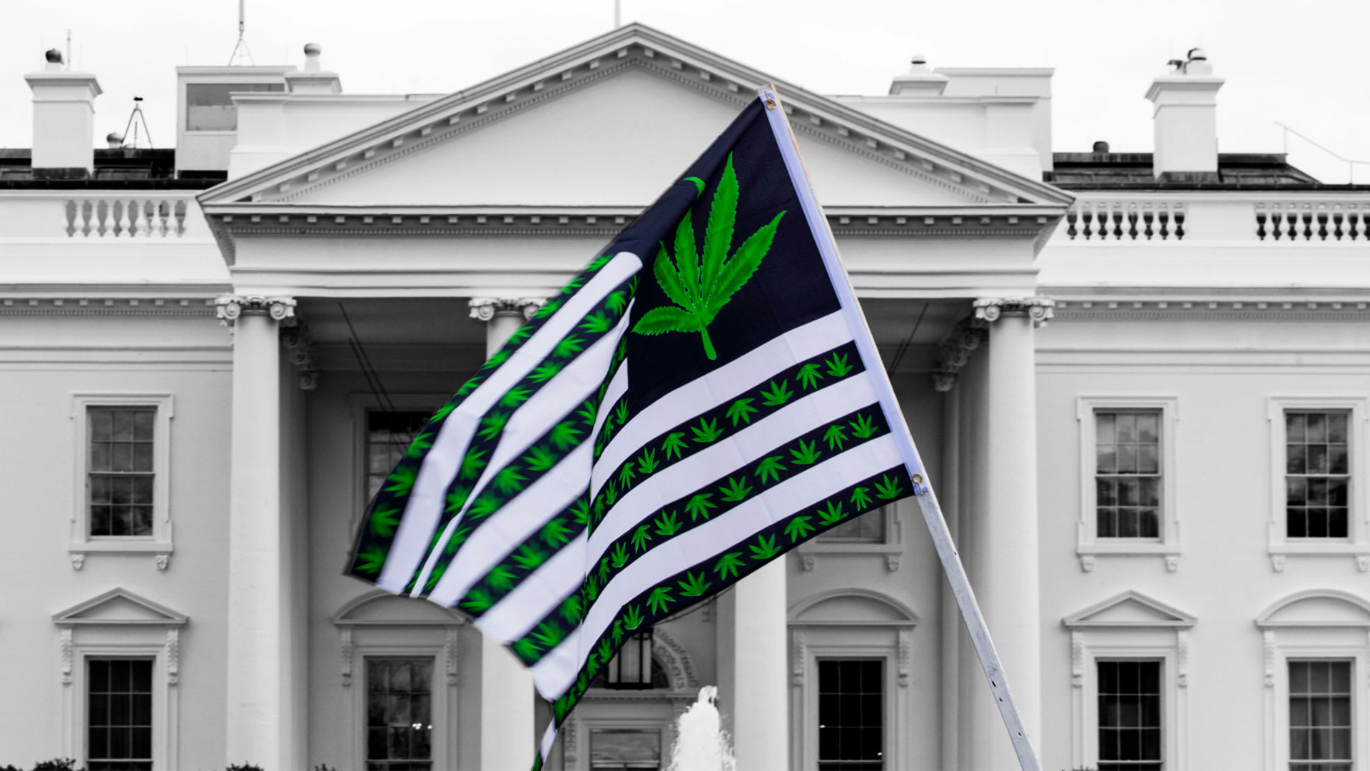 marijuana - Fast Company