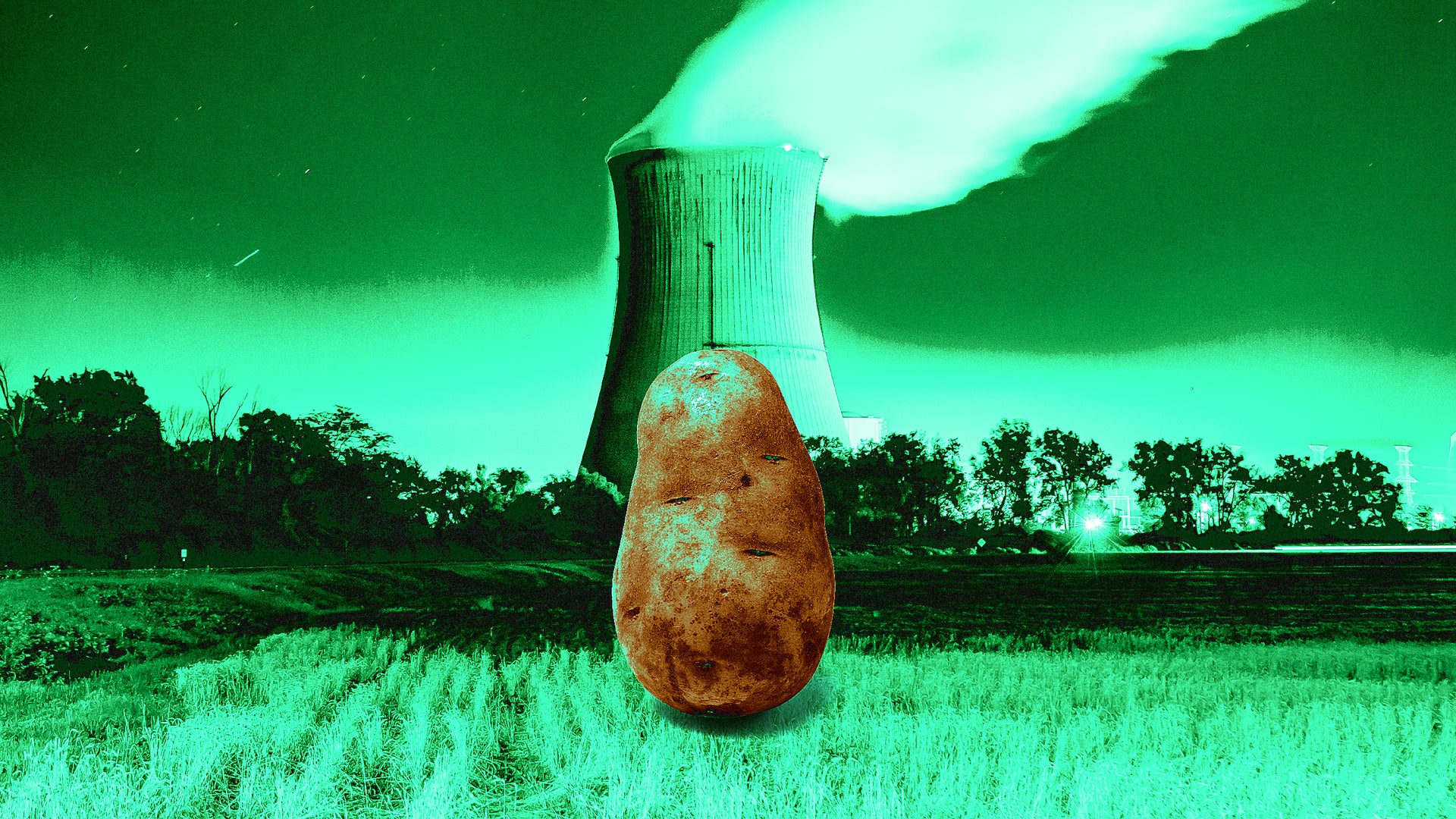 How the humble potato could monitor radiation surrounding nuclear power ...