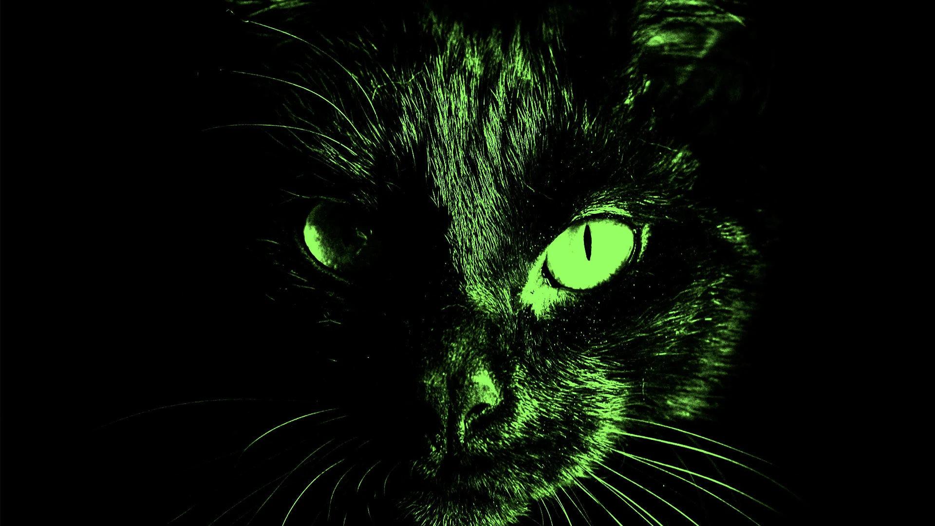 Who is Blackcat, the hacker group disrupting UnitedHealth pharmacies?