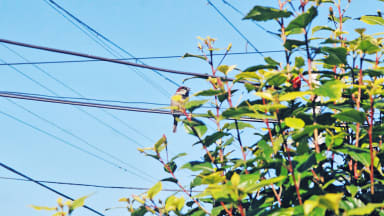 Unplug - Fast Company