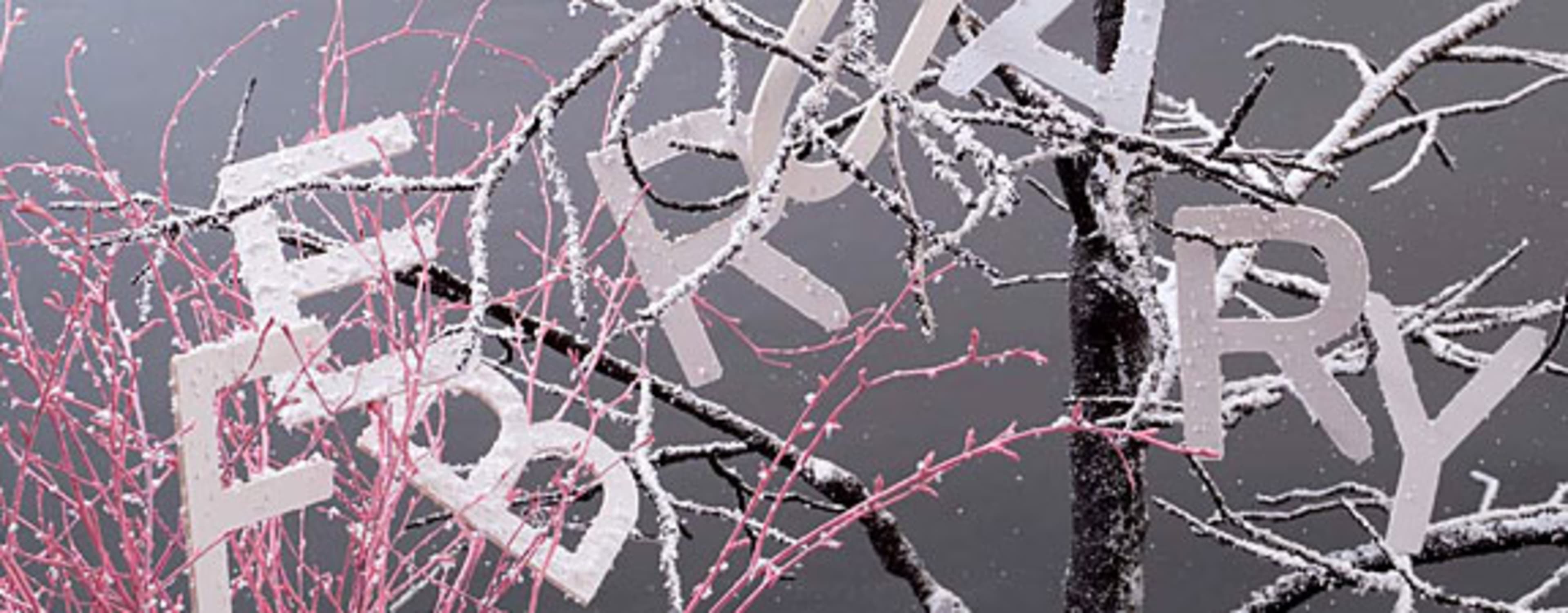 Now February 2009 - Fast Company