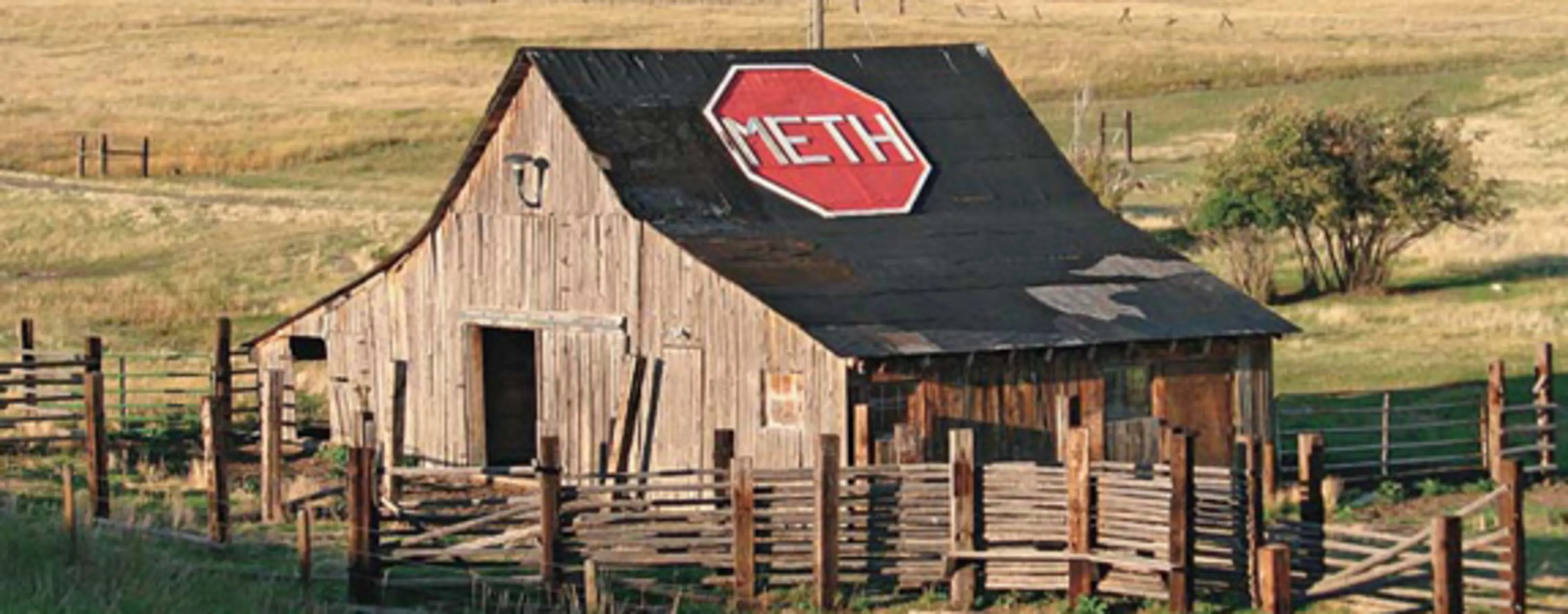 Meth Mouth: Tom Siebel's Brash Anti-Crystal Campaign - Fast Company
