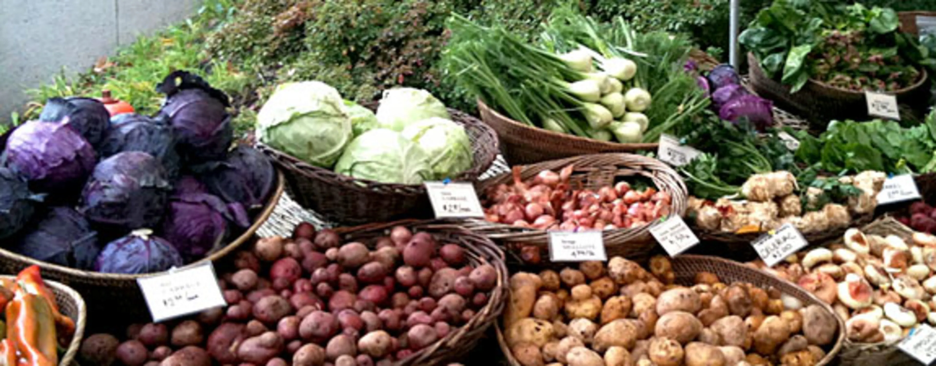 Portland: Farm-Fresh Food [Fast Cities 2010] - Fast Company