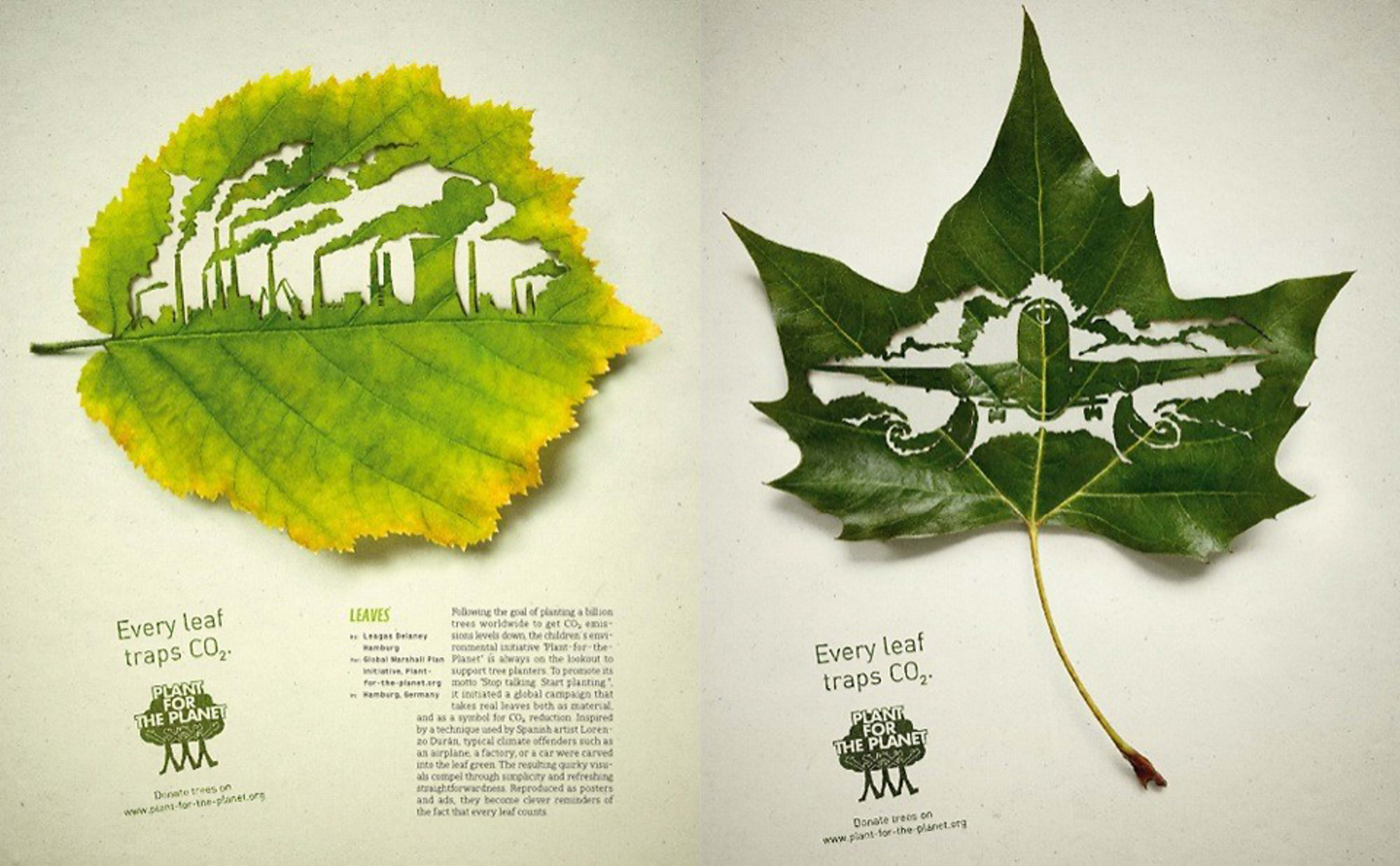 A Gorgeous Exploration Of The New Visual Language Of Sustainability ...