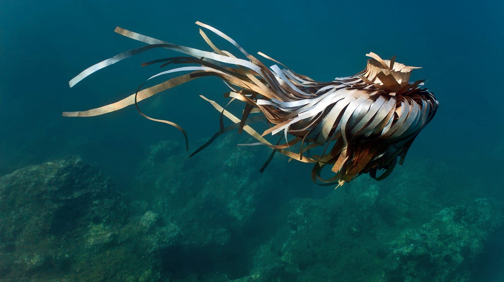 See Amazing Underwater Sculptures Made Of Our Marine Trash - Fast Company