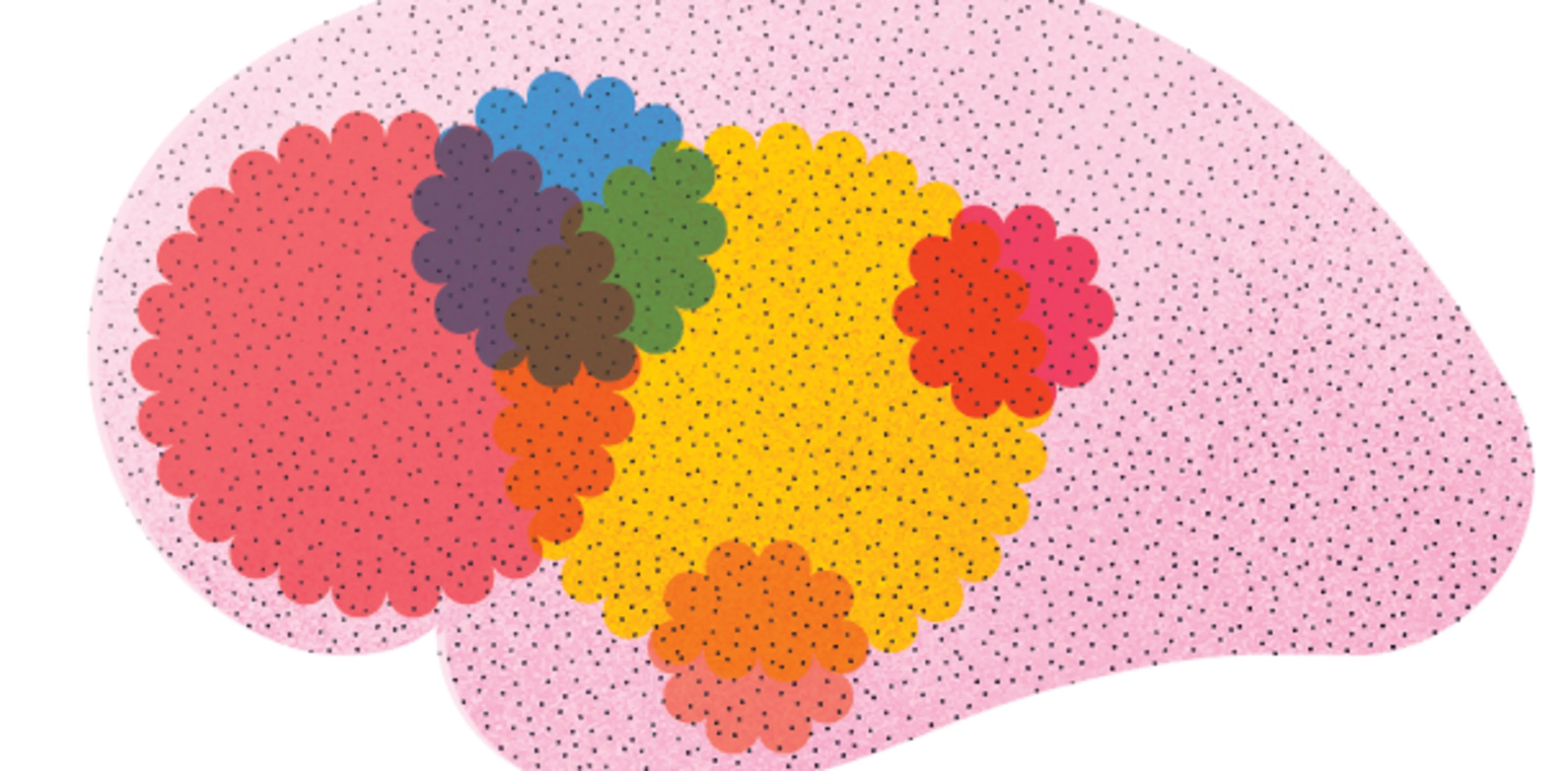 Is Your Brain Wired To Take Risks? - Fast Company