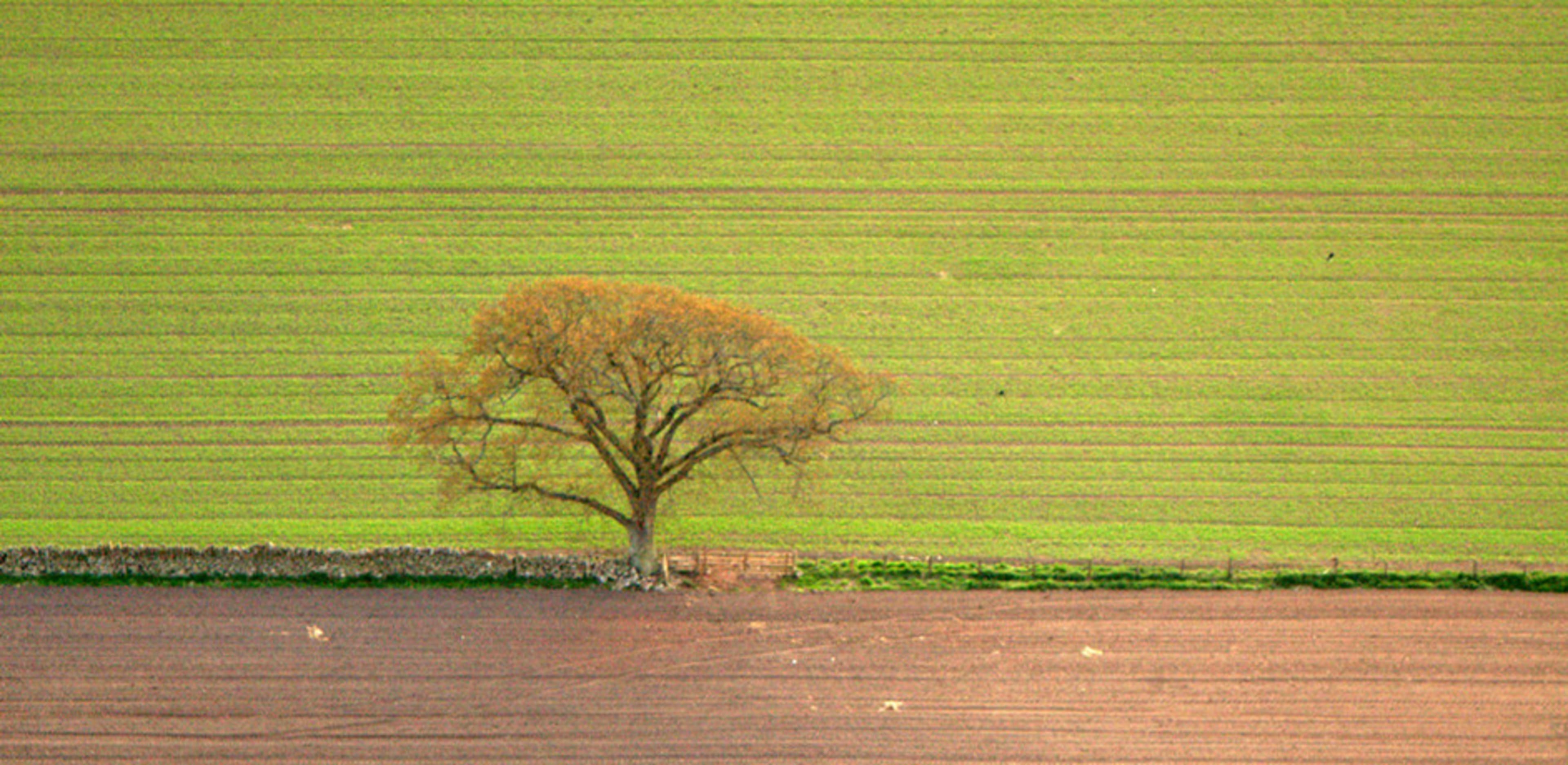 The Employee-Motivation Checklist - Fast Company