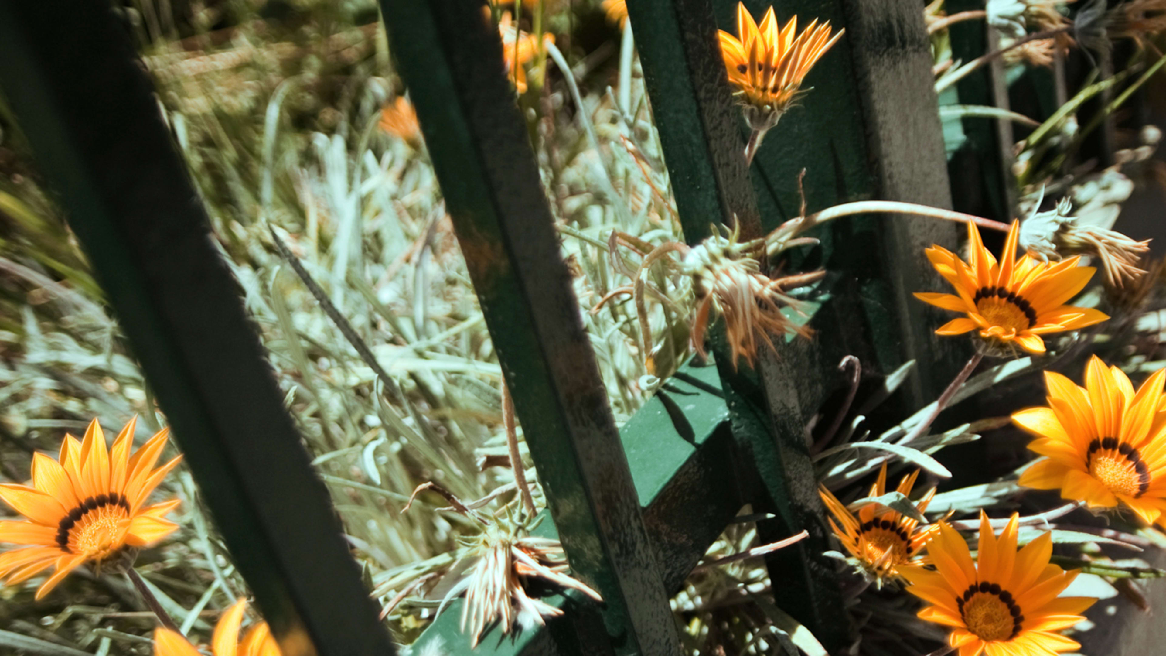 What A Year In Prison Taught Piper Kerman About Success - Fast Company