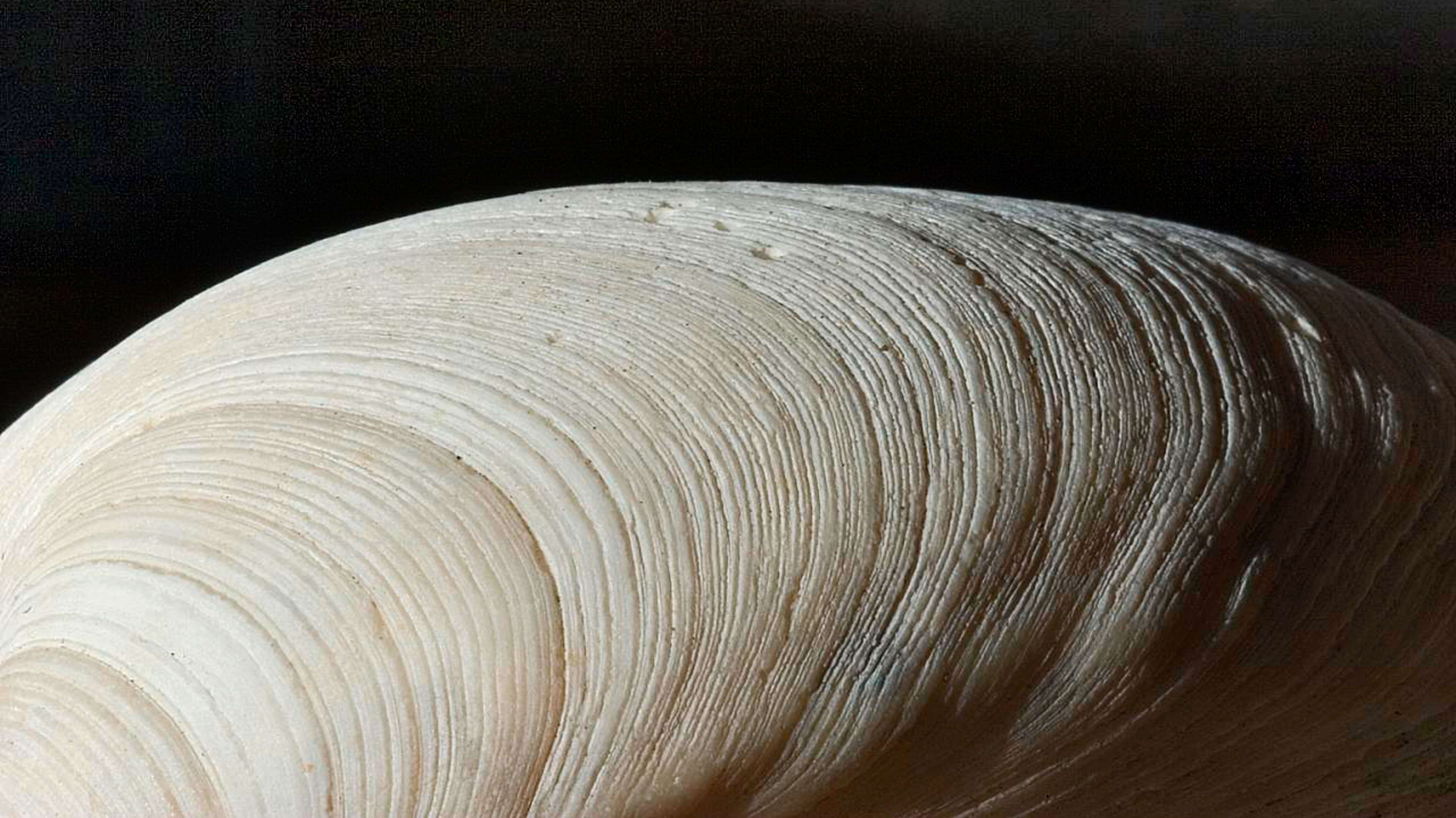 Why Your Company's Worst Performers Are Happy As Clams - Fast Company