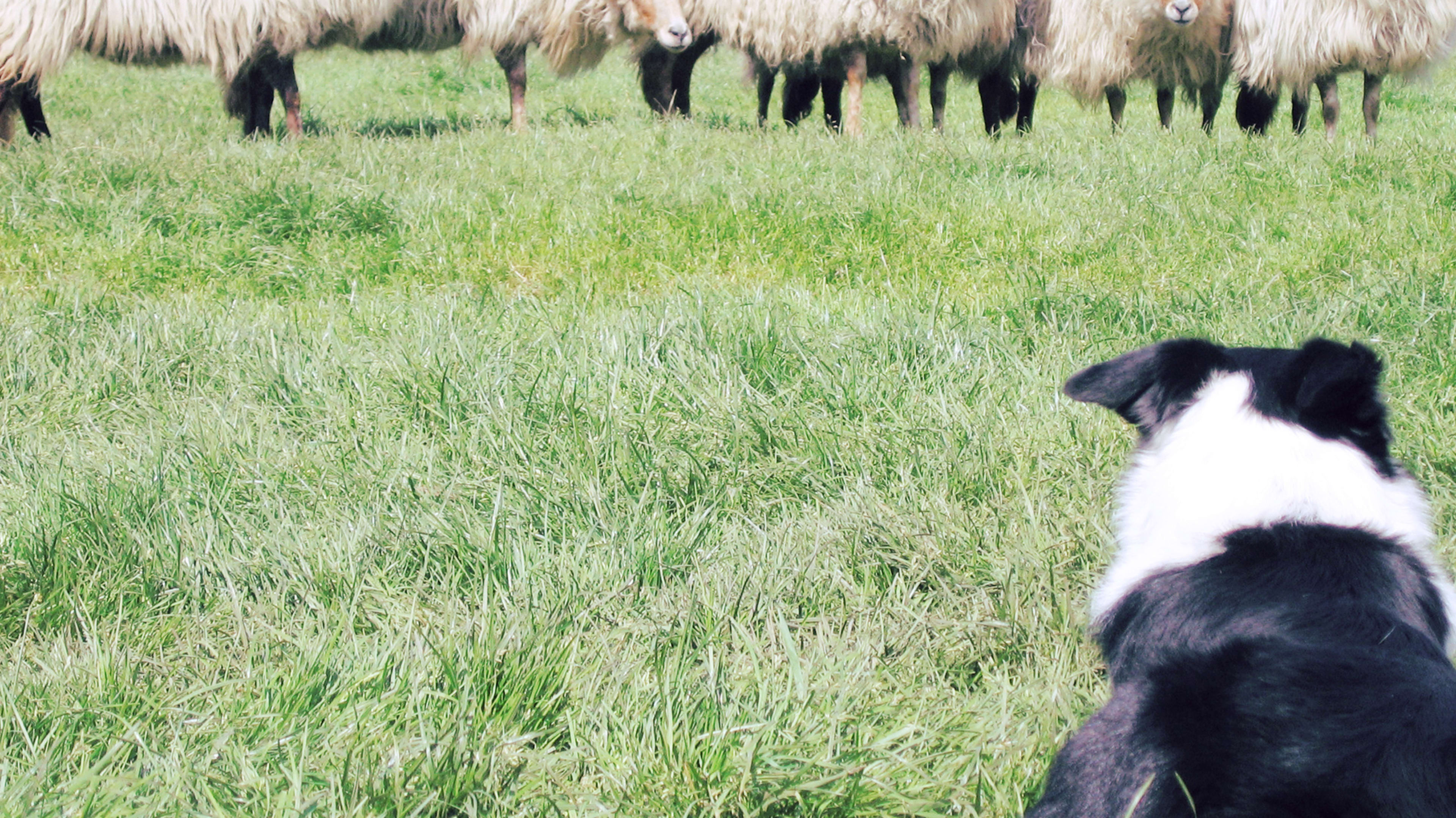 3 Reasons Why We're All Loafing At Work-And What To Do About It - Fast ...