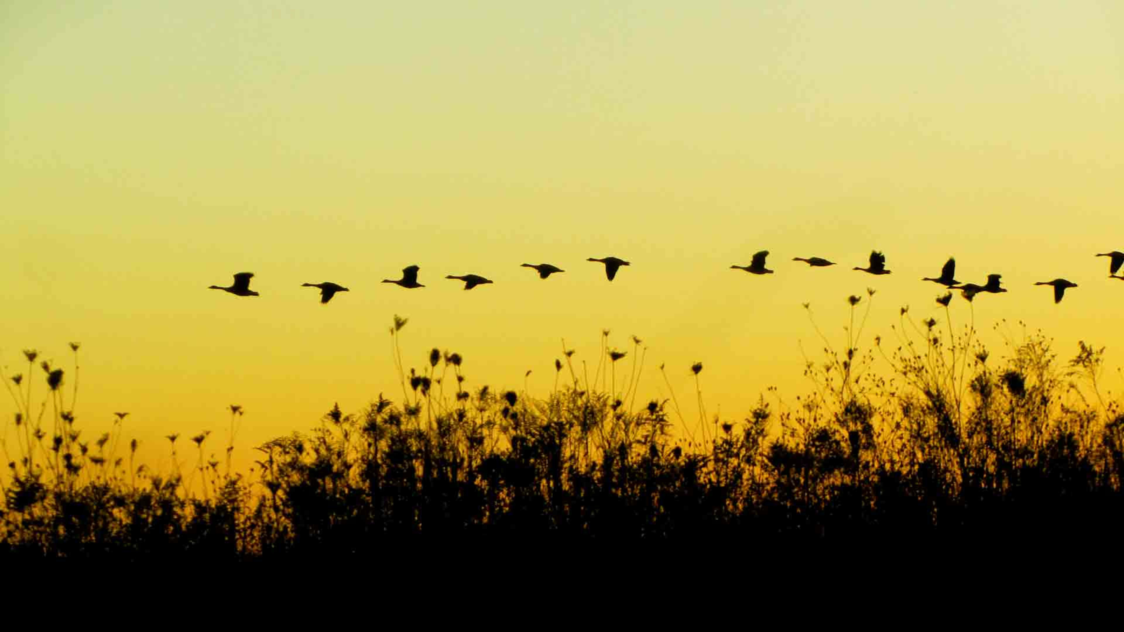 5 Ways Being A Good Follower Makes You A Better Leader - Fast Company