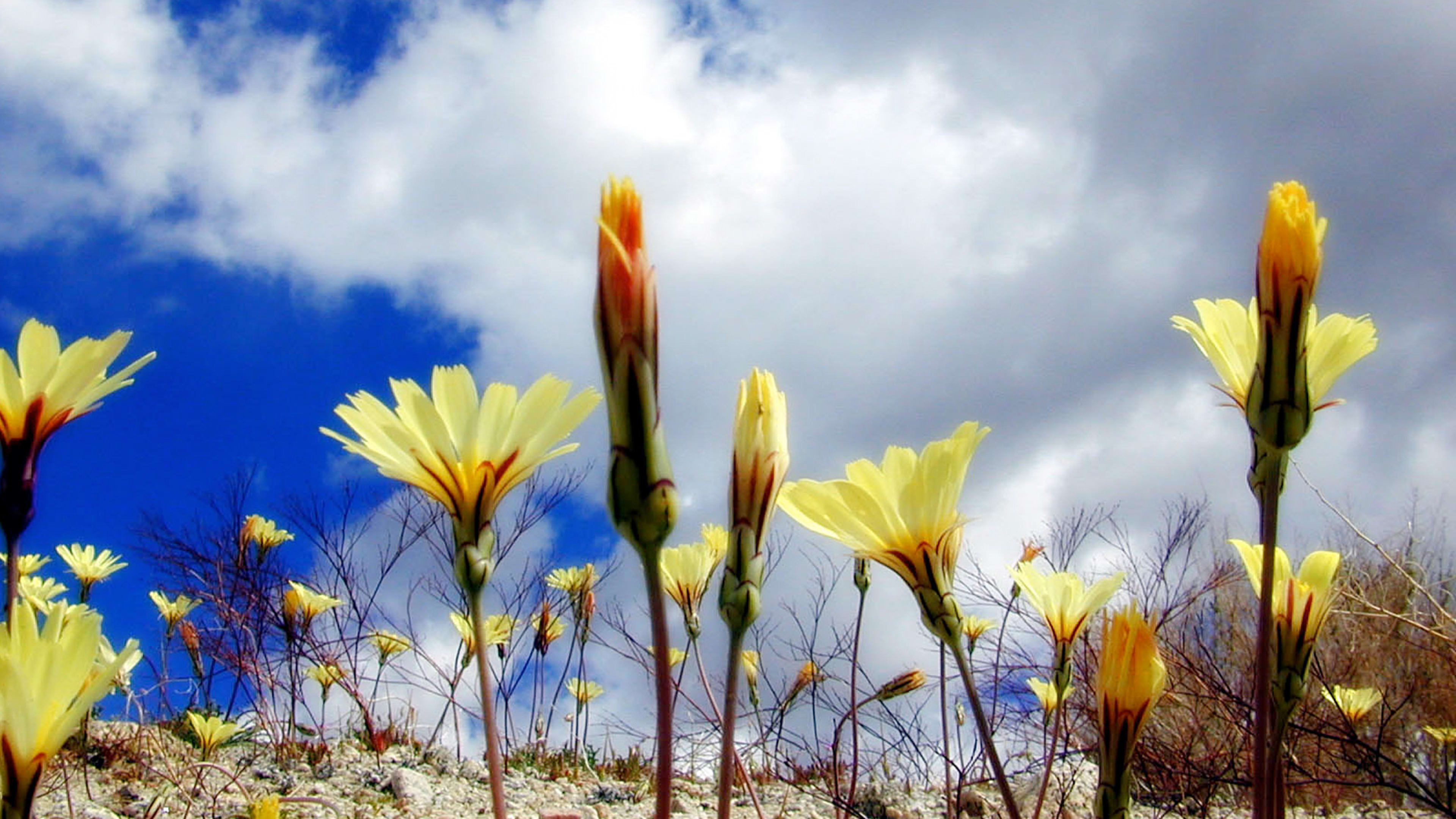 The 10 Best Pieces Of Advice For Making A Fresh Start - Fast Company