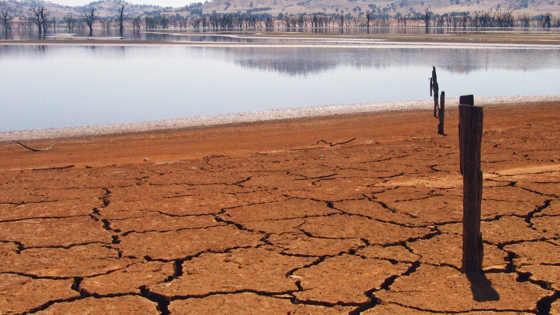 The World's Biggest Companies Are Worried About Running Out Of Water ...