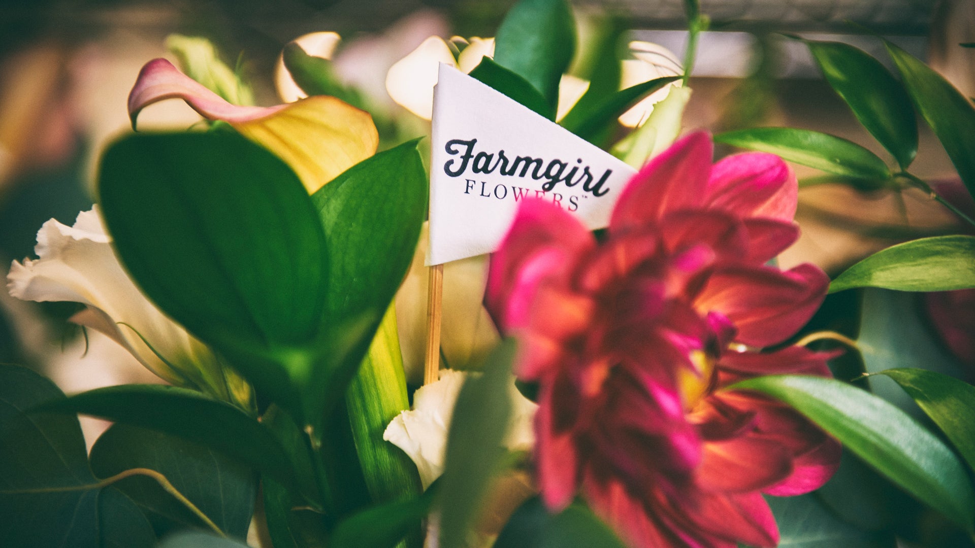Farmgirl Flowers And The Quest To Deliver The Most Beautiful Bouquet ...