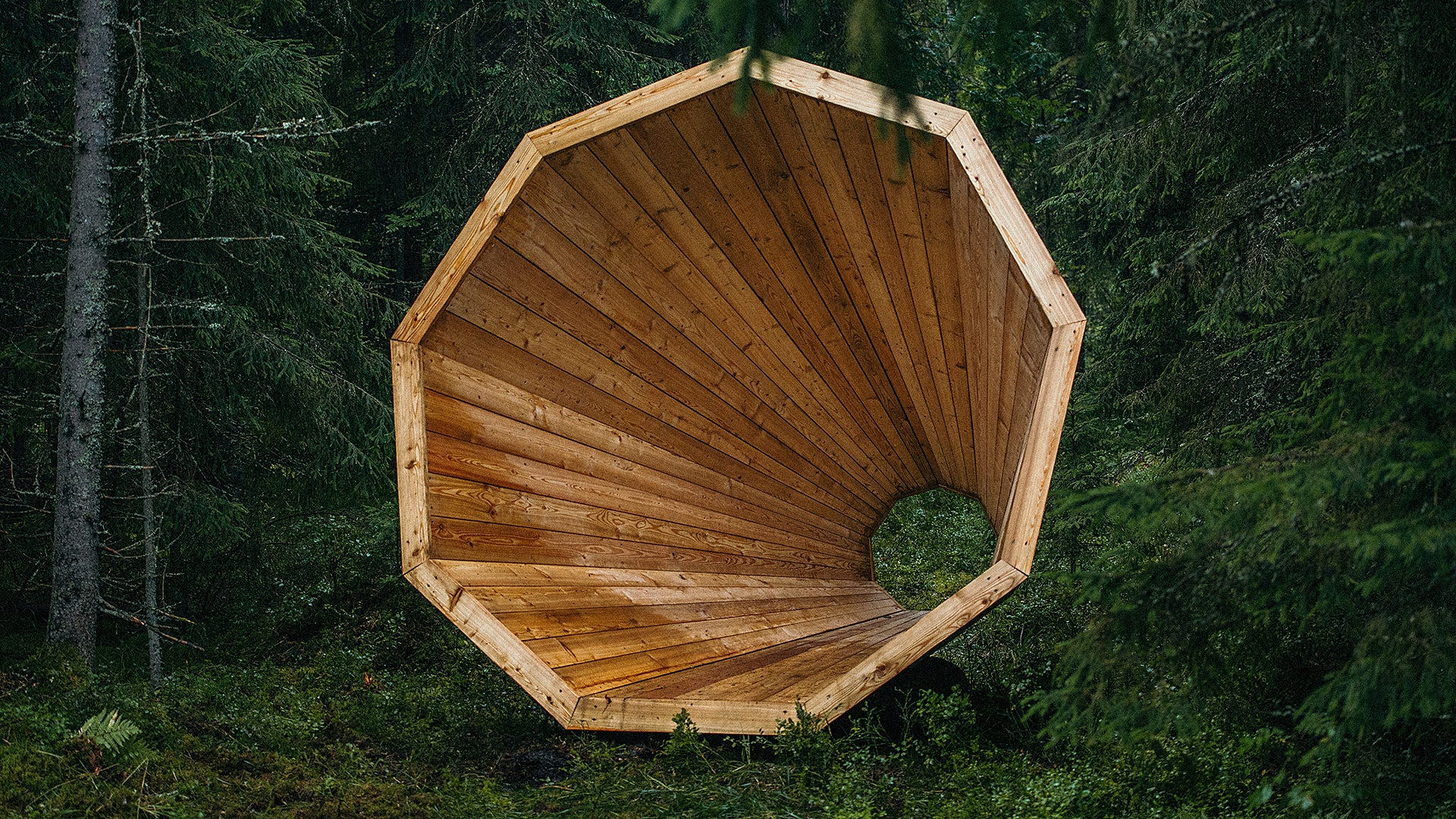 These Giant Forest Megaphones Amplify The Sounds Of The Woods - Fast ...