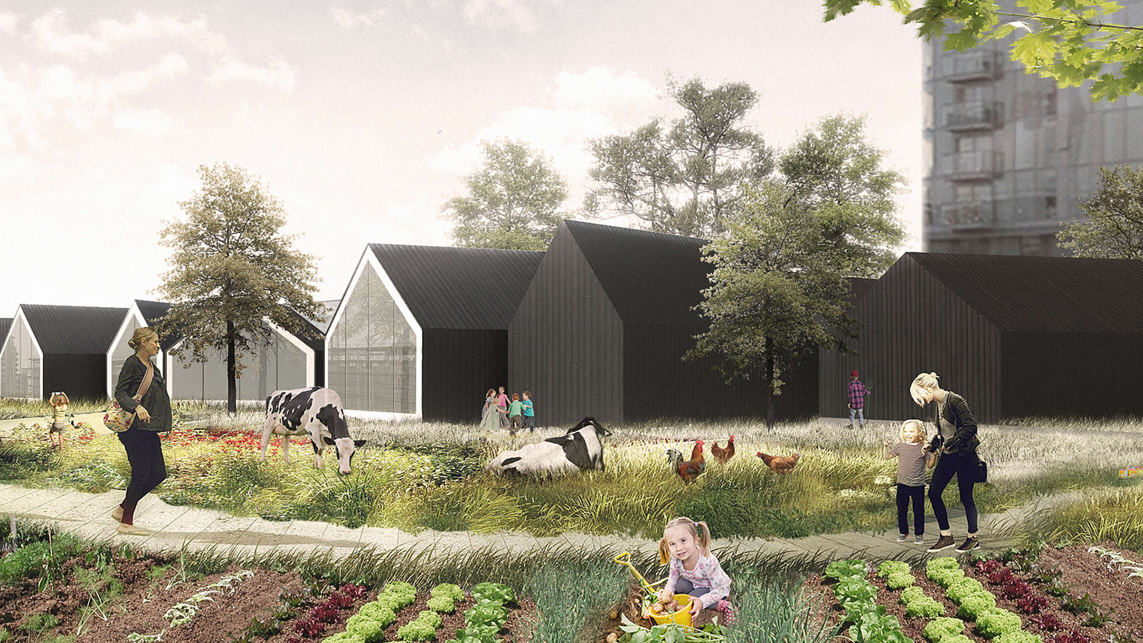 This Preschool Doubles As An Urban Farm - Fast Company