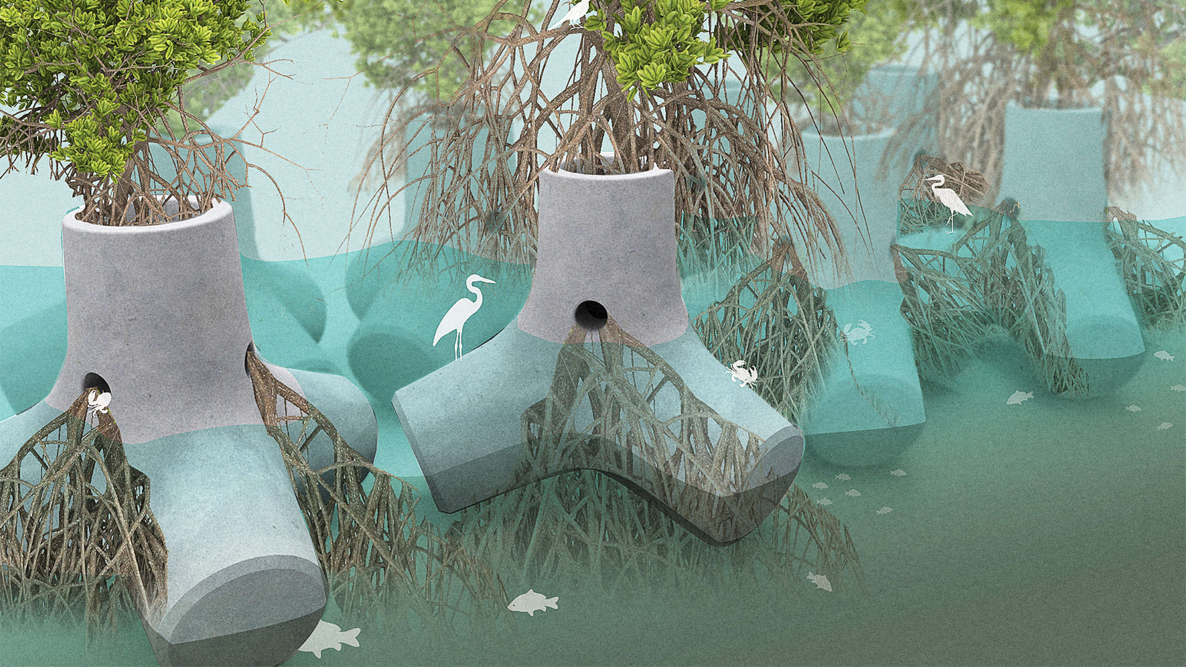 These Pots Are Designed To Create Mangrove Forests That Will Protect ...