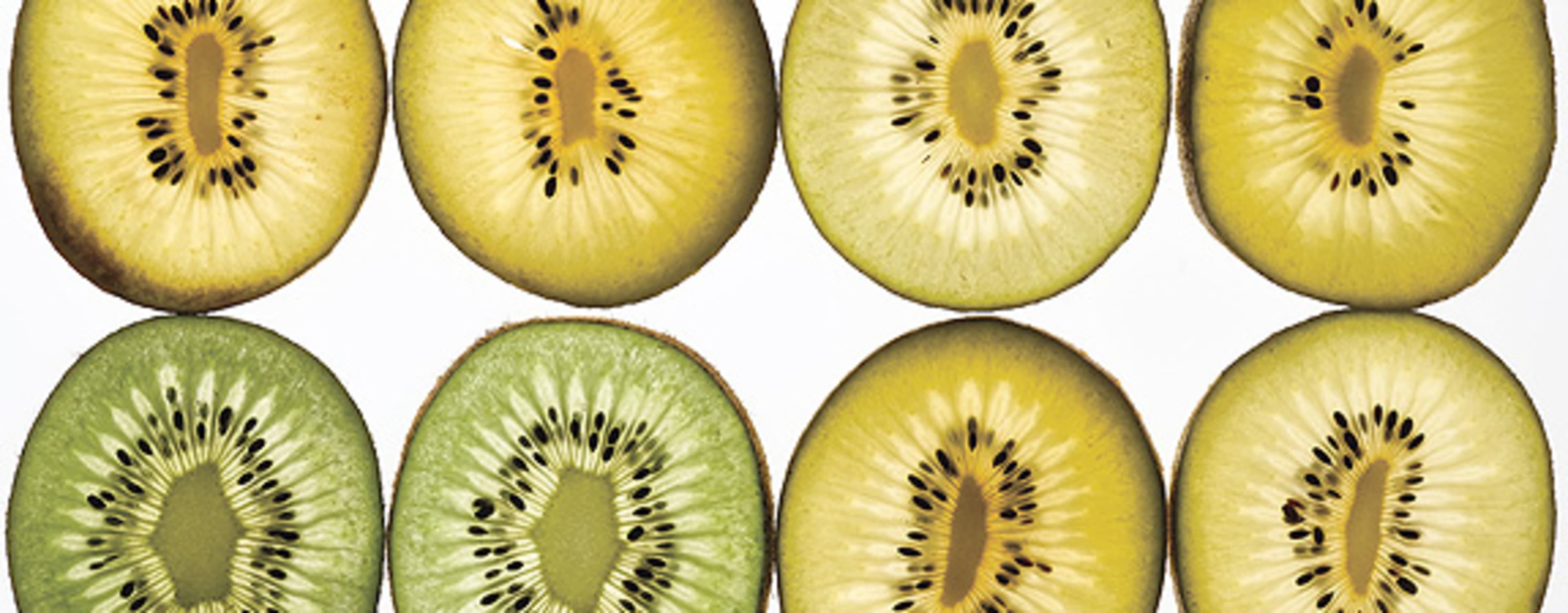 Haute Fruiture - Fast Company