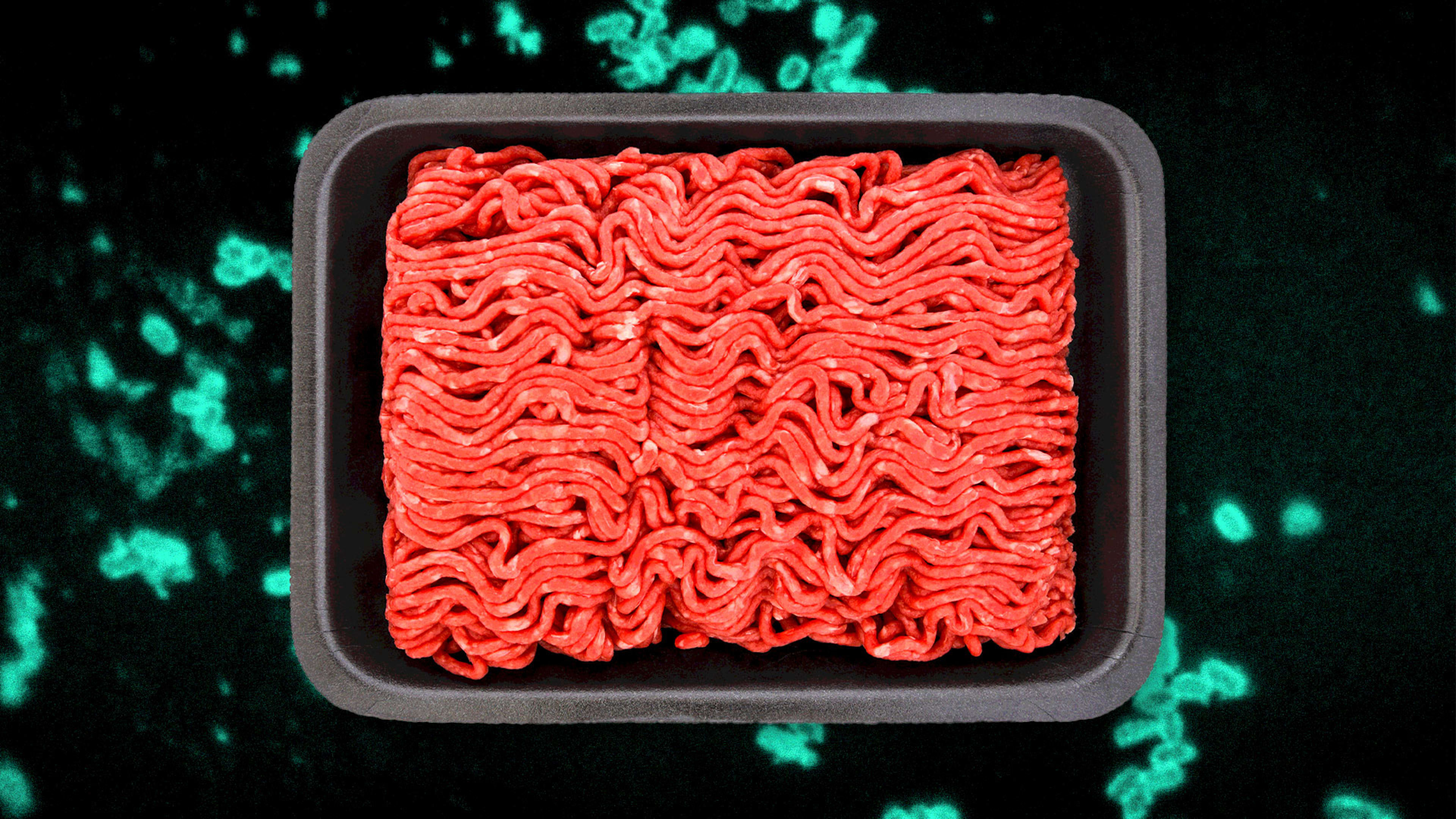 Ground beef E. Coli alert, no recall issued; symptoms to watch for ...