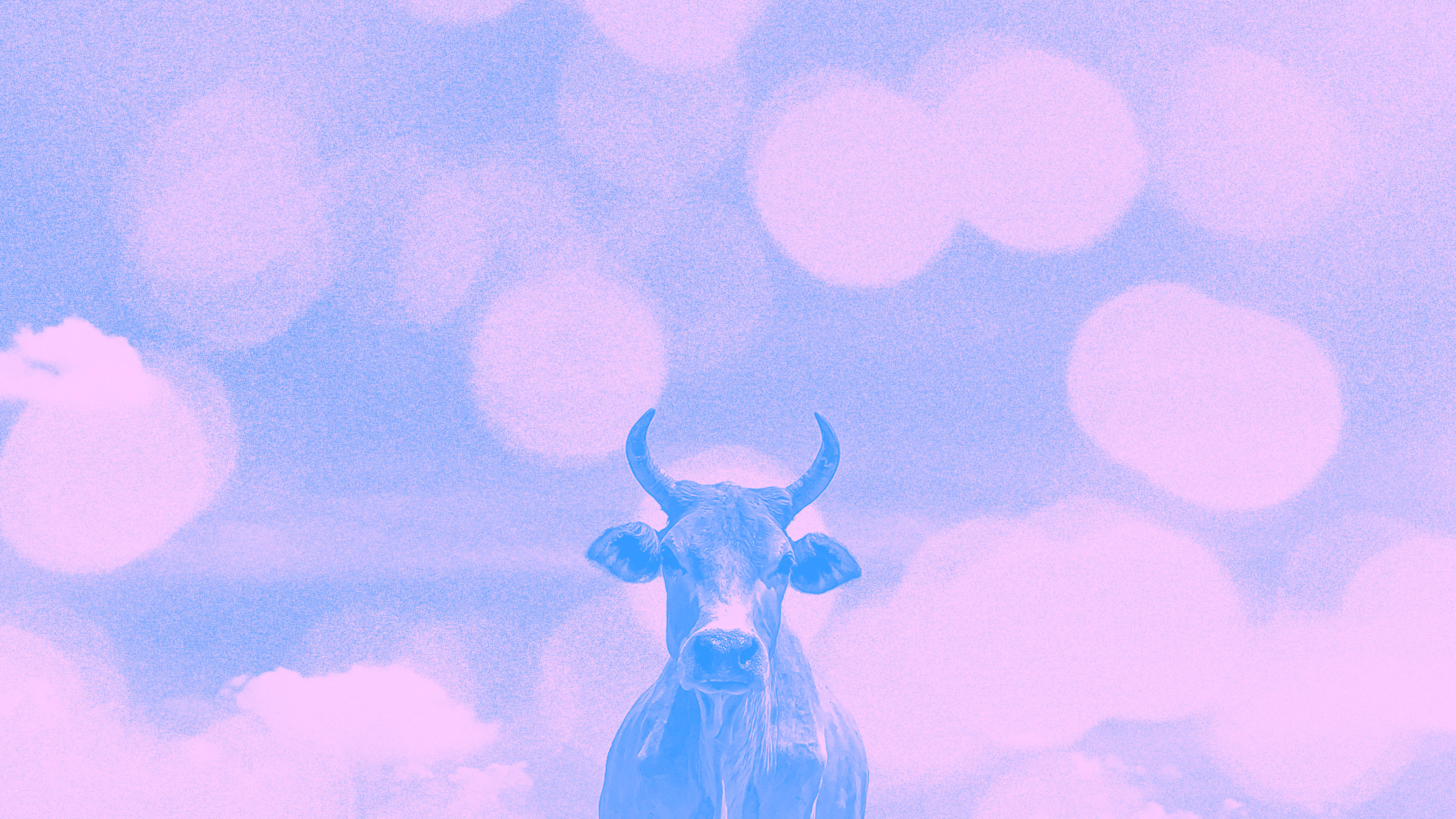 Windfall Bio uses microbes to turn methane into fertilizer