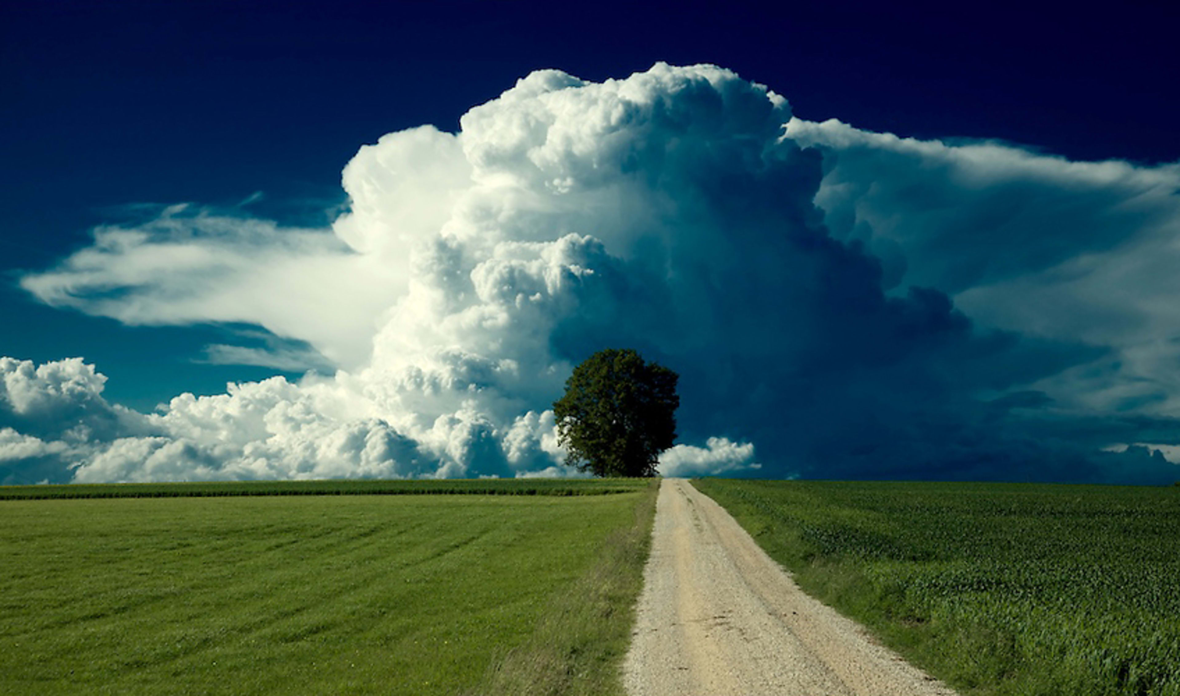 "Dark Sky" Reinvents Weather Apps With Hyper-Local Forecasts - Fast Company