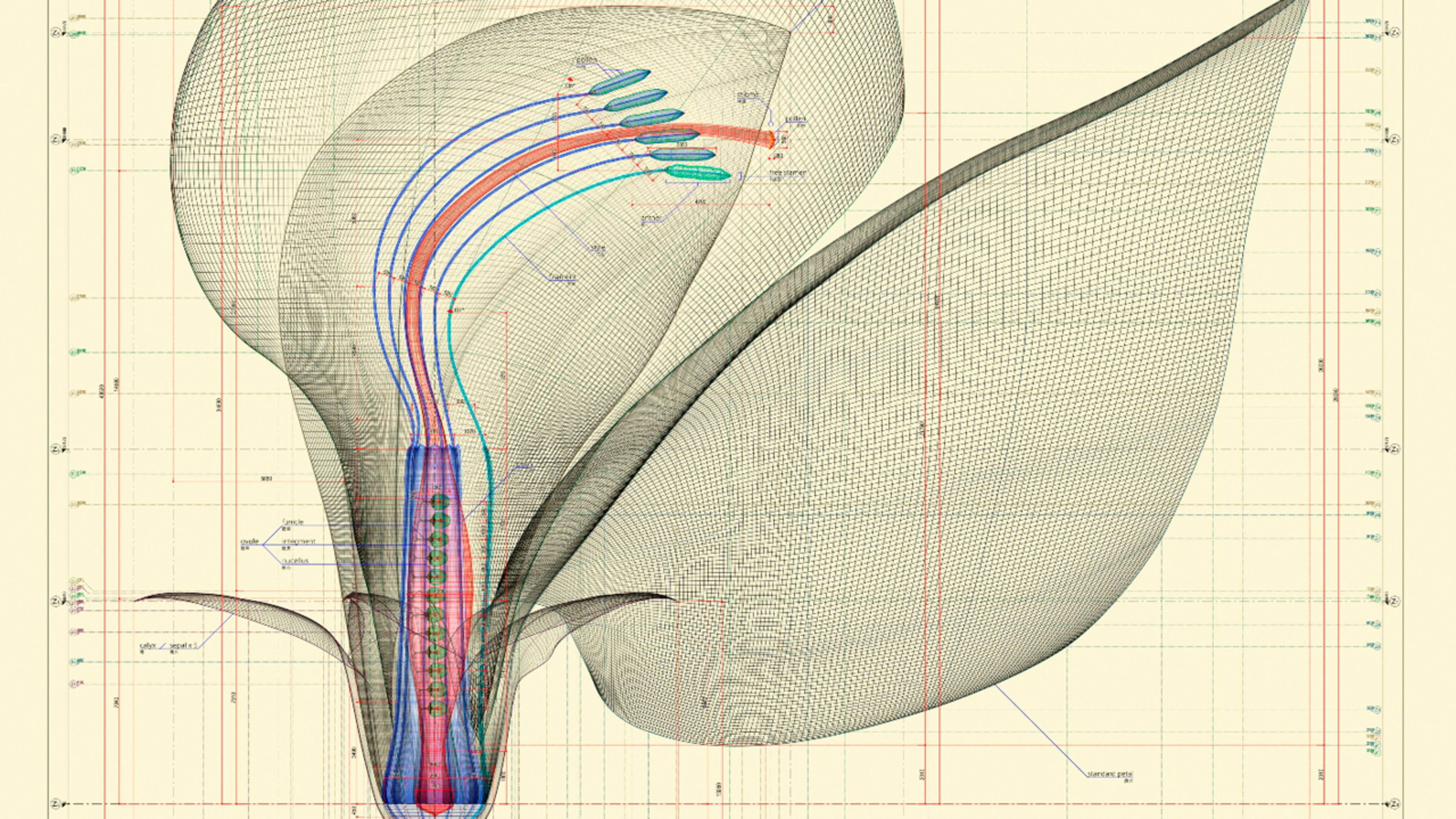 Fantastically Complex Blueprints Of Plants - Fast Company