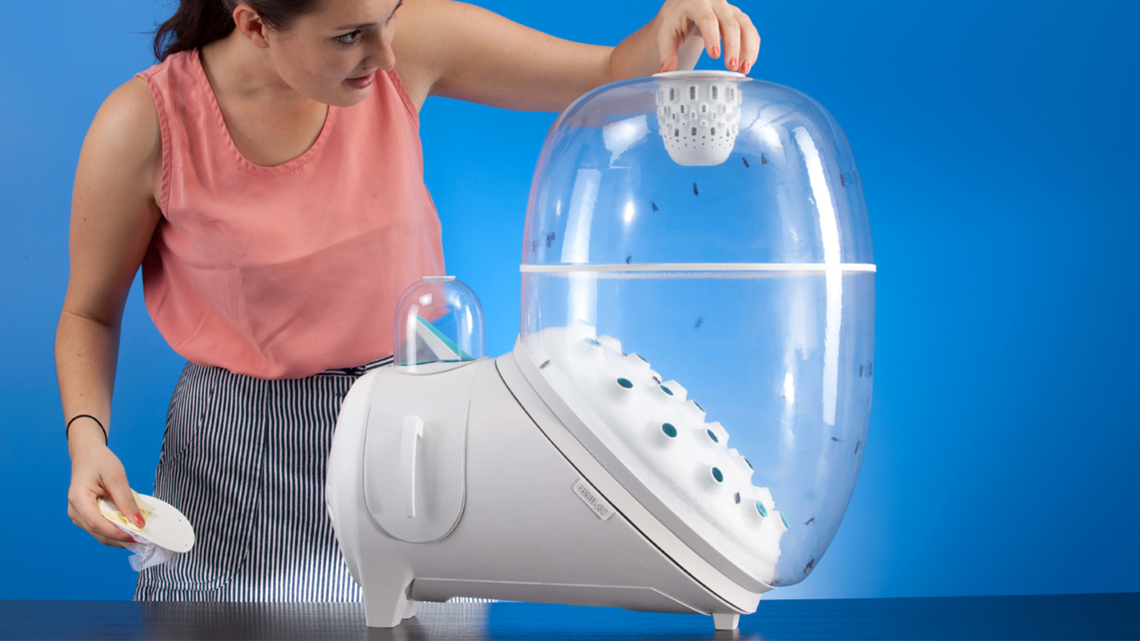 A Kit To Grow Bugs At Home, To Eat! - Fast Company